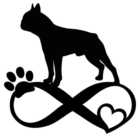 Boston Terrier Decal Boston Infinity Decal Boston Terrier | Etsy