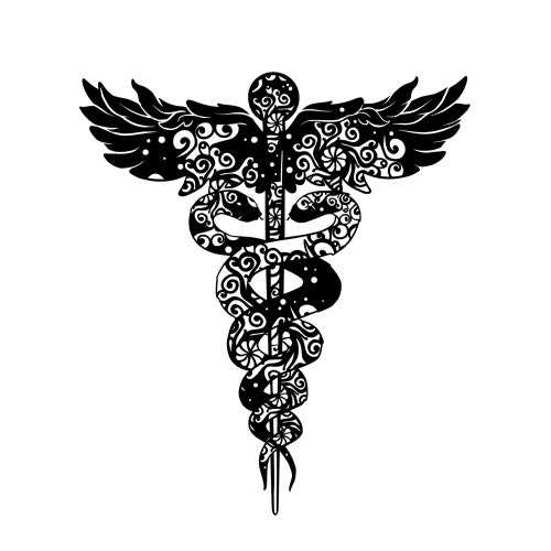 Caduceus Vinyl Decal Truck Window Decal Nurse Car Decal - Etsy
