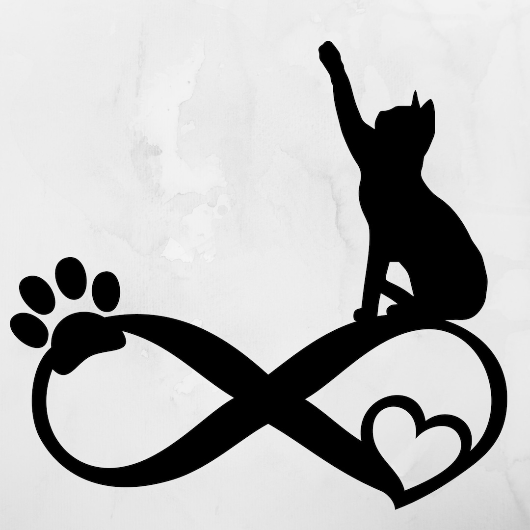 Cat Vinyl Decal, Cat Infinity Decal, Cat Decal for Car, Gift for Cat ...