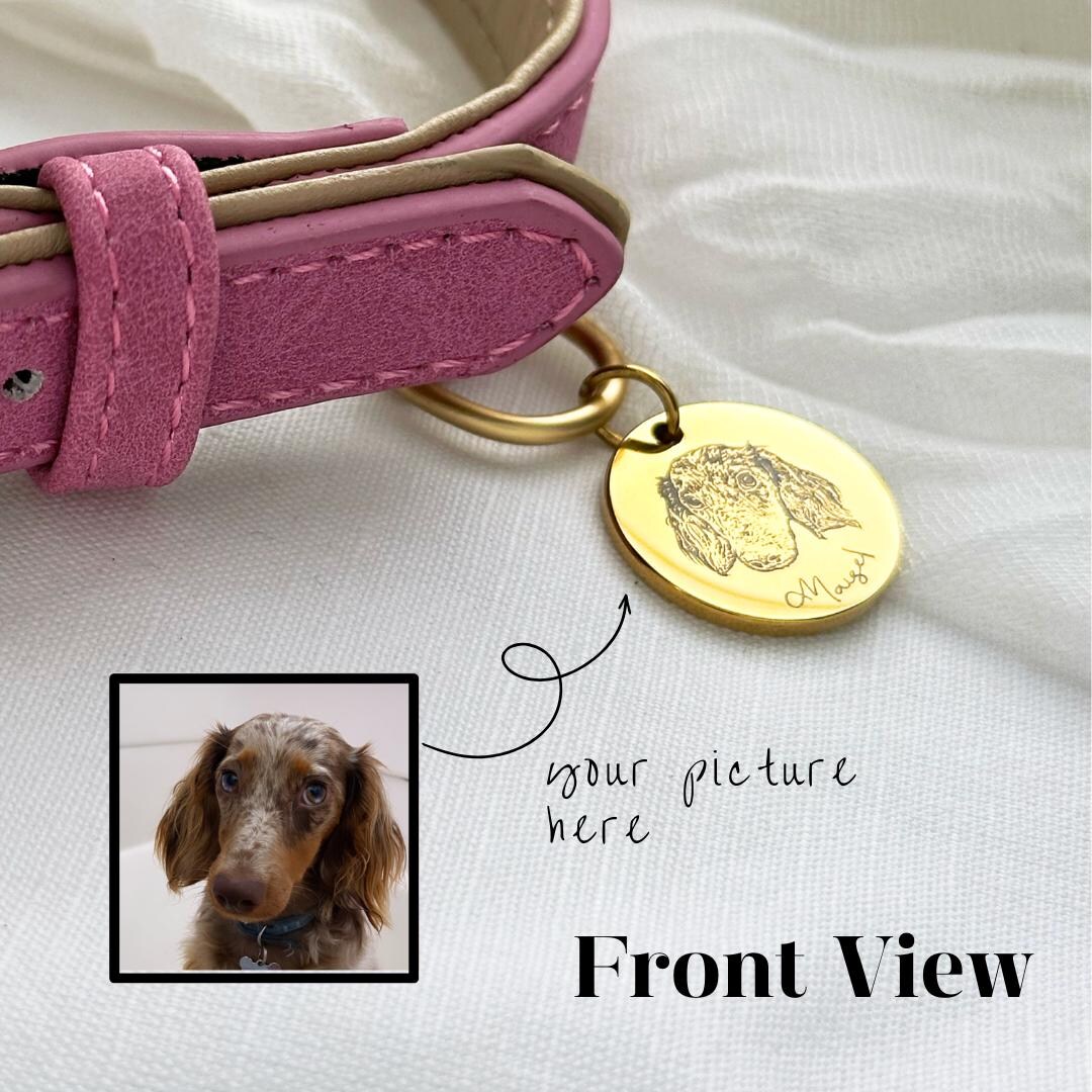 Dog Collar Custom Dog Tag Leather Engraved Gold Dog Collar Nameplate ...