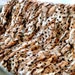 Luxury Real Spotted Fox Fur Throw Blanket - Etsy