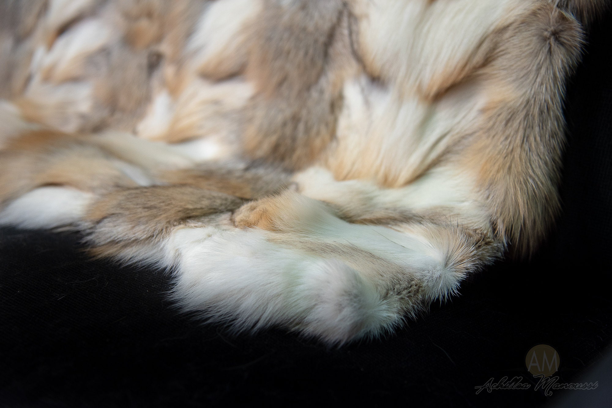 Luxury Real Golden Island Fox Head Fur Throw Blanket | Etsy