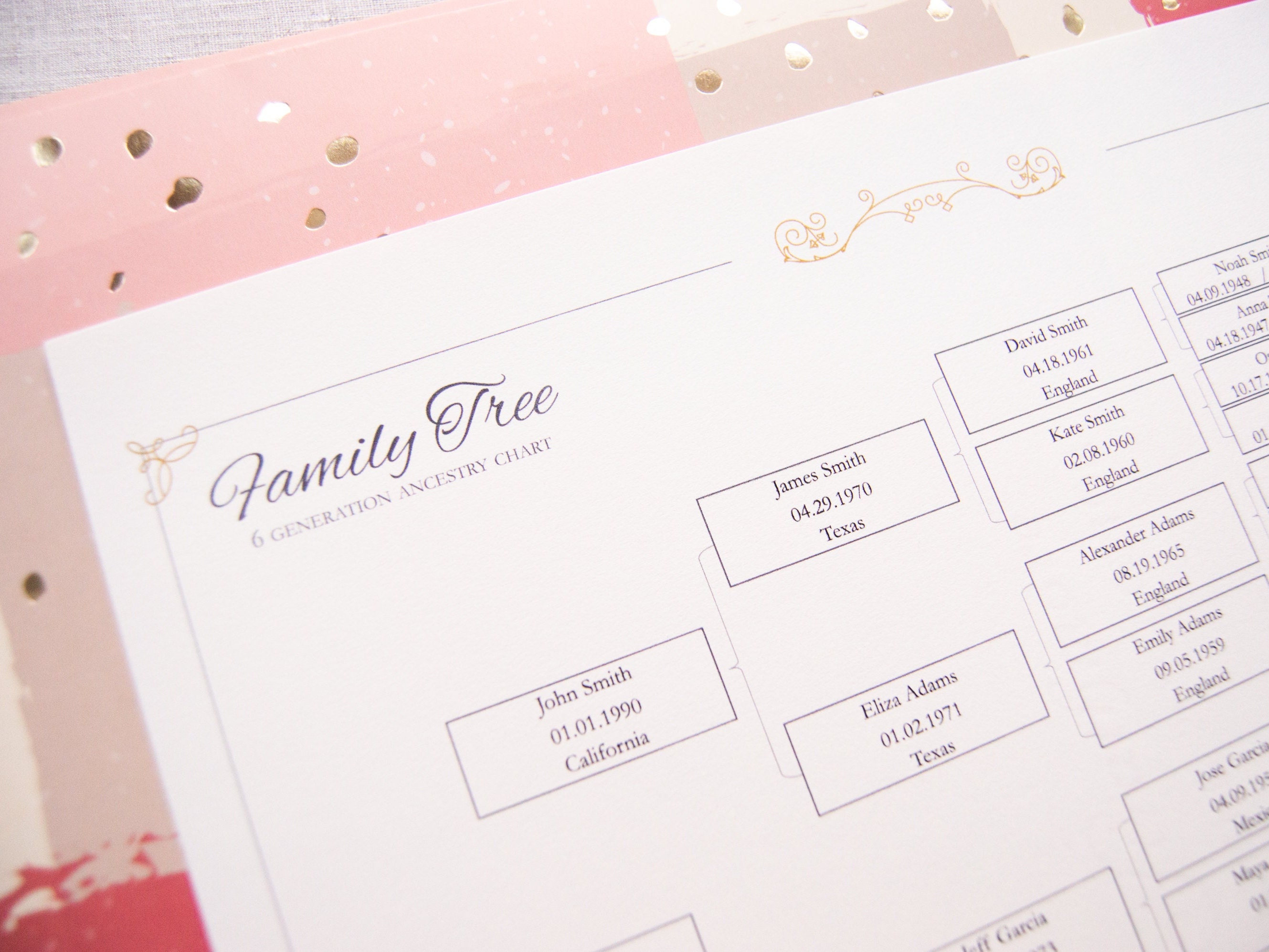 Family Tree Chart Digital Family Tree Template Print at Home Ancestry ...