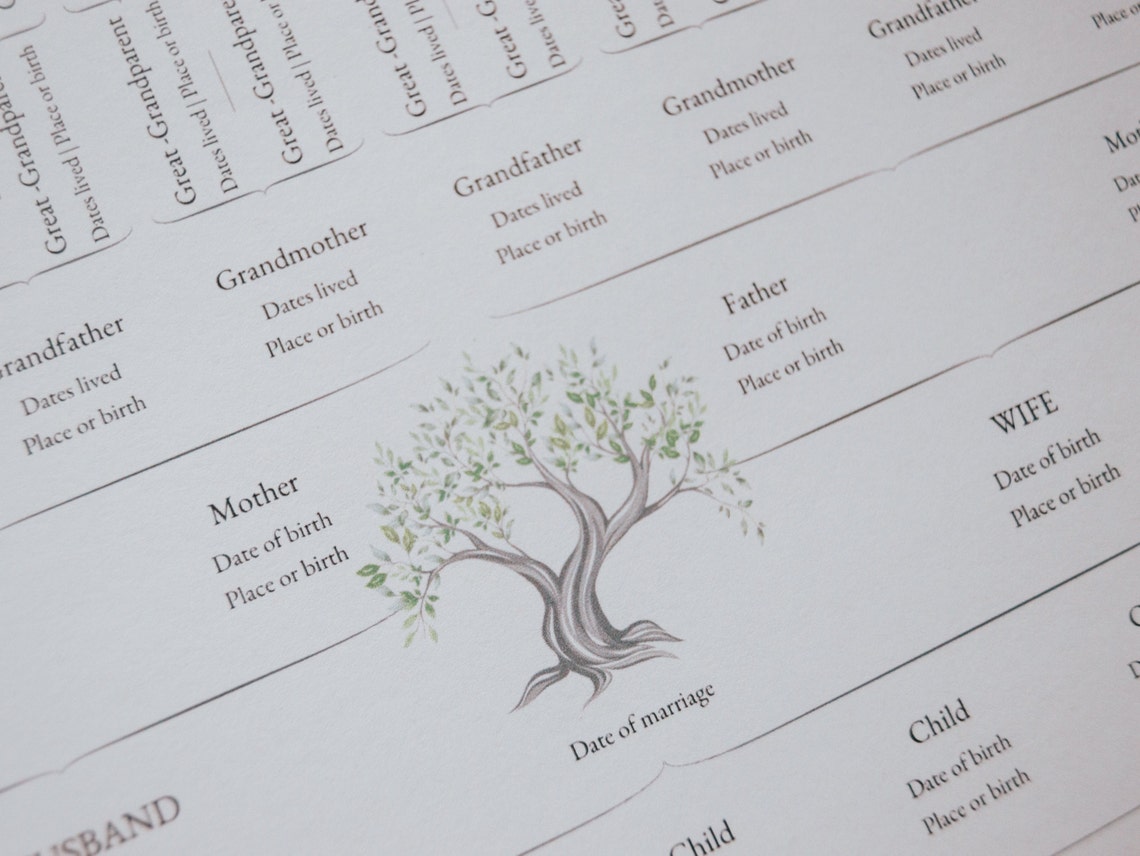 6 Generation Family Tree Chart Lineage Family Tree Ancestral Fan Chart ...