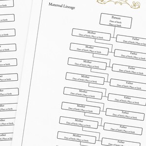 Editable Family Lineage Paternal Family Line Maternal Side Genealogy ...