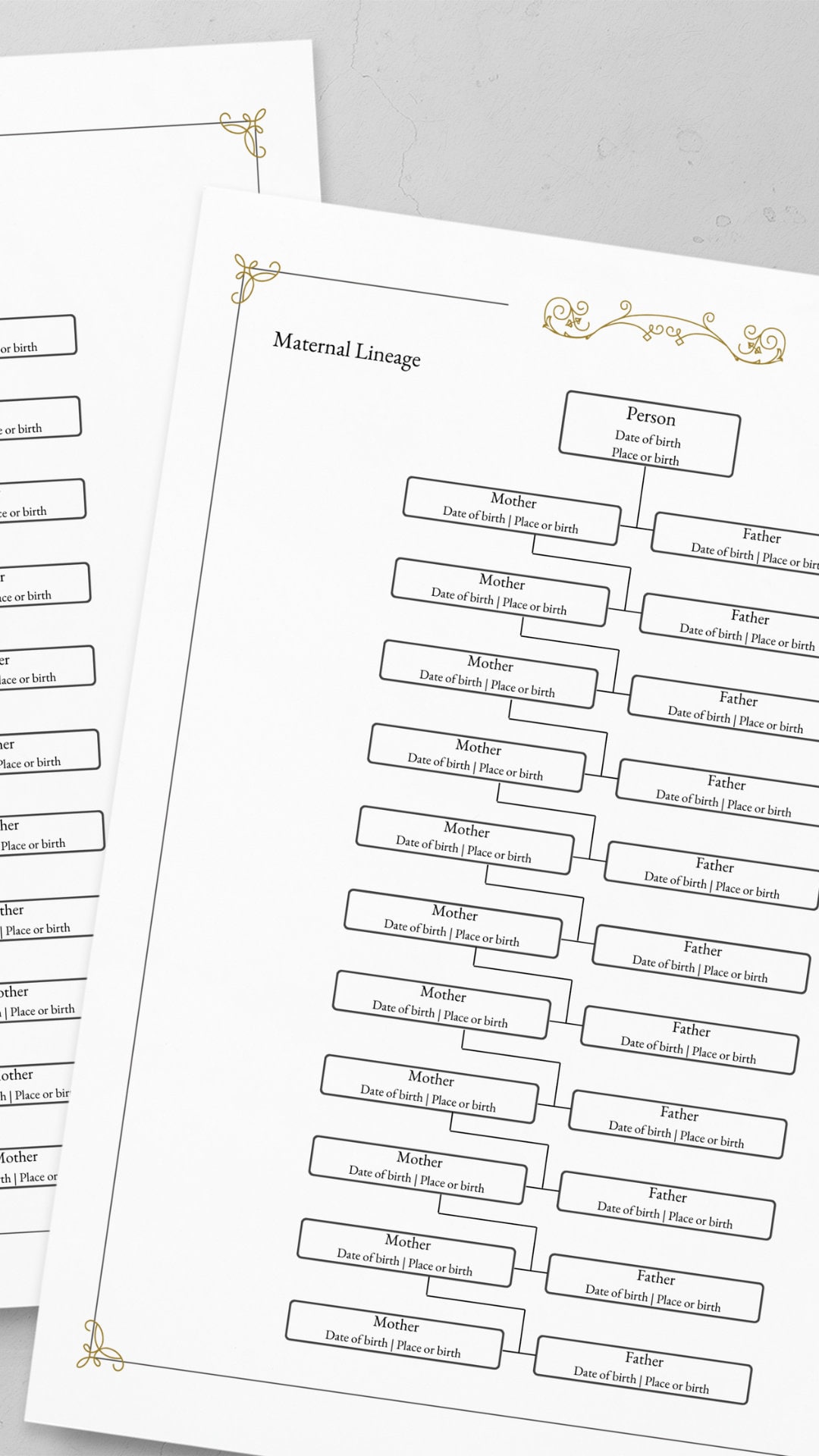 Editable Family Lineage Paternal Family Line Maternal Side Genealogy ...