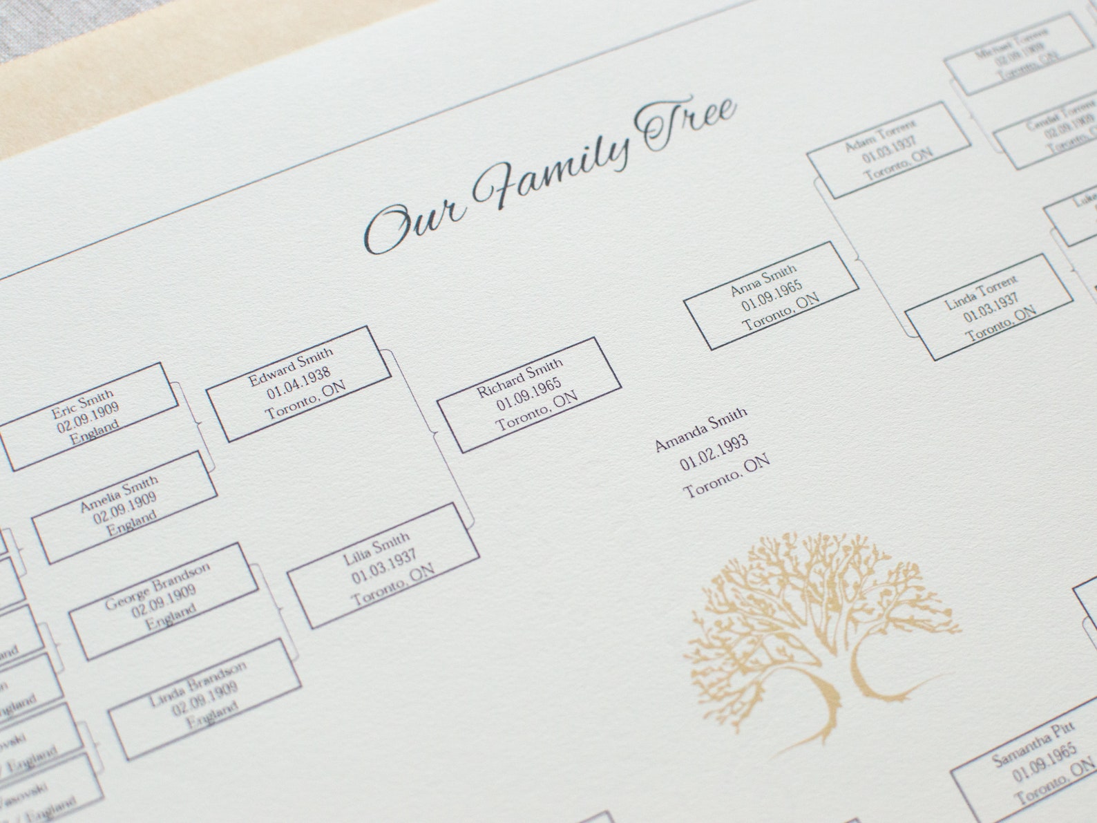 Genealogy Tree Editable Family Tree Printable Ancestor Chart 5 - Etsy ...