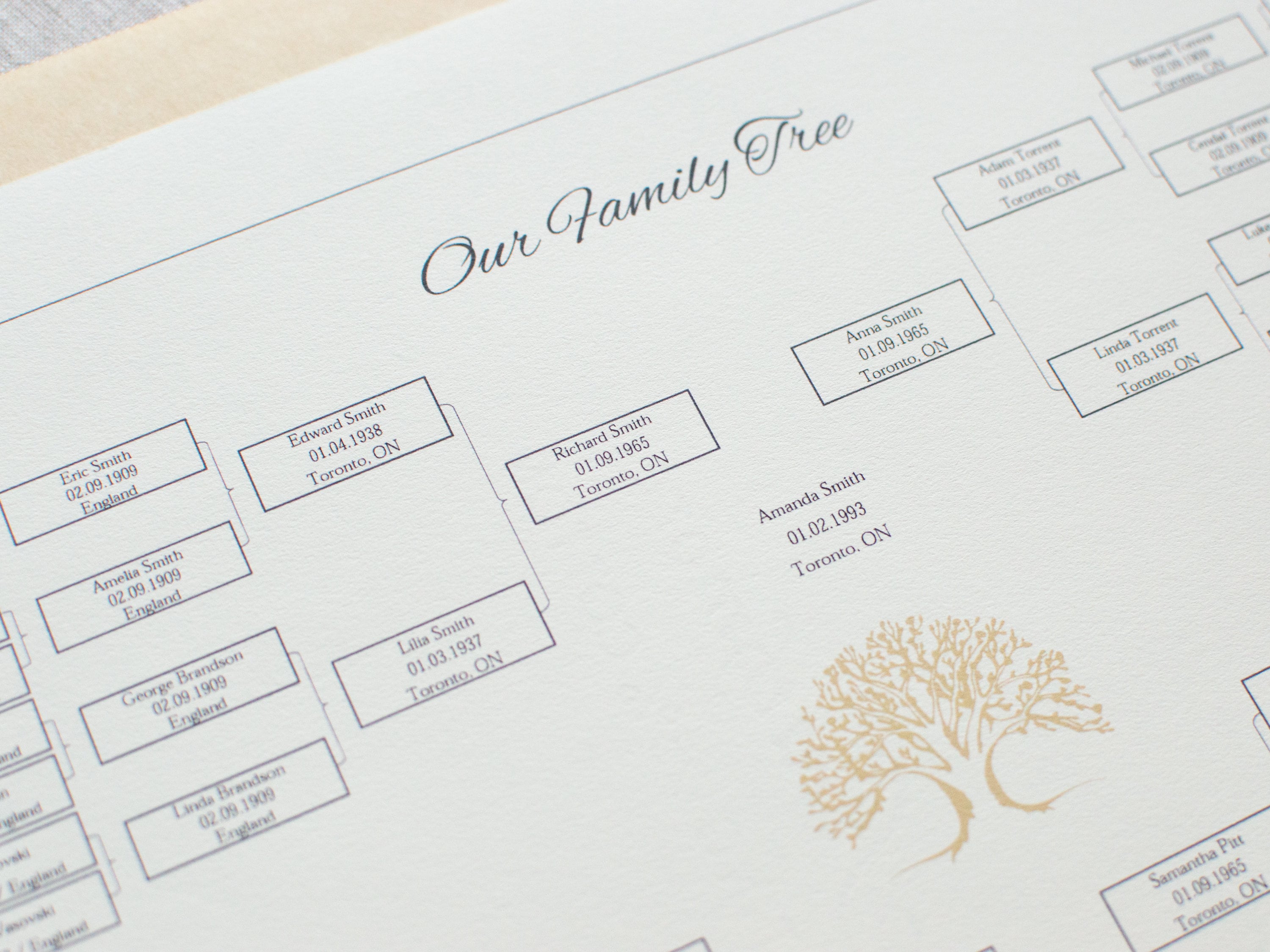 Genealogy Tree Editable Family Tree Printable Ancestor Chart 5 - Etsy ...