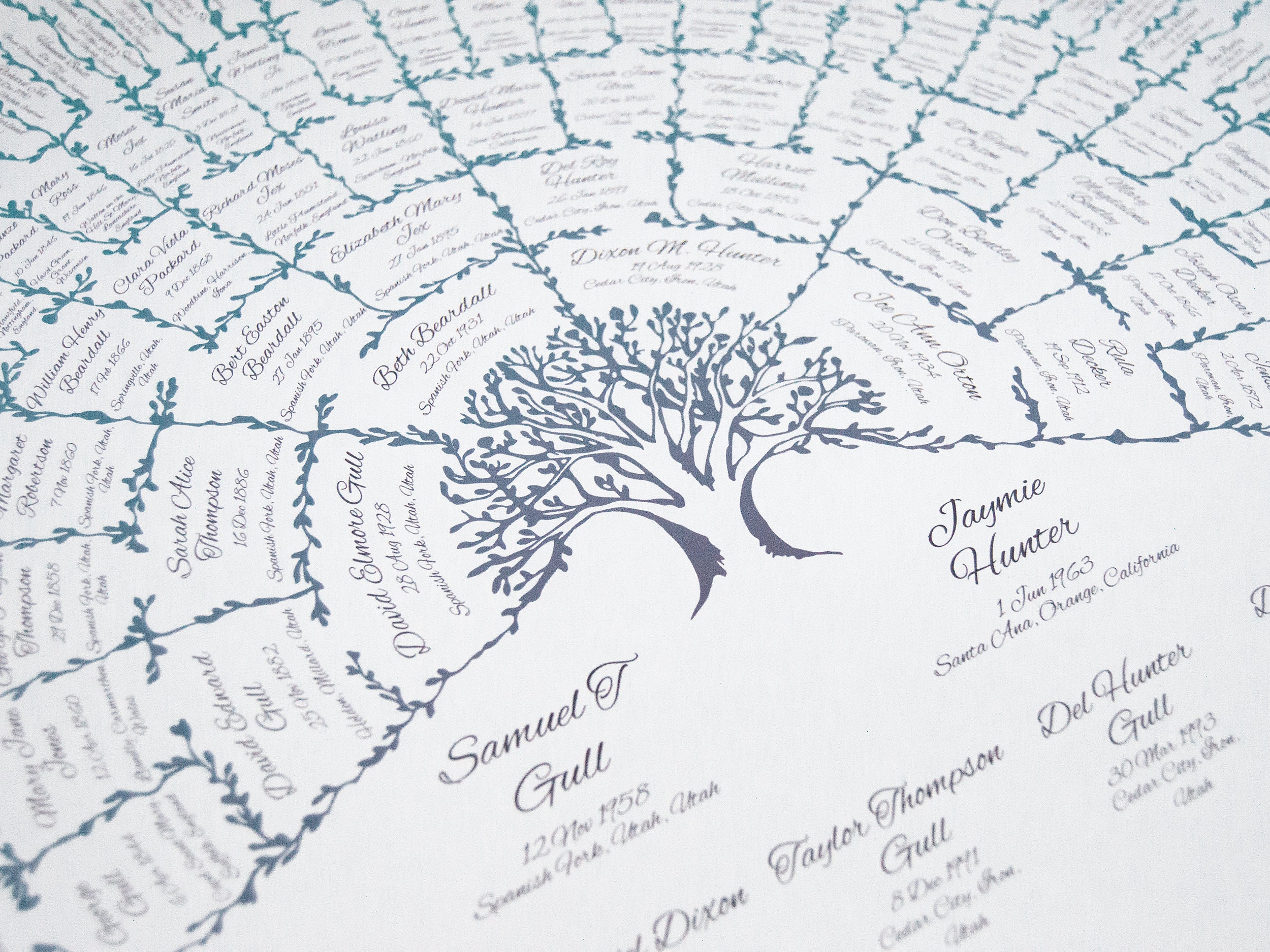 Custom Family Tree Template 7 Generation Fan Chart Ancestry Map ...