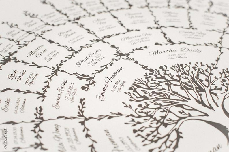 Family Tree Fan Chart Ancestry Map Genealogy Template 6 Generation ...