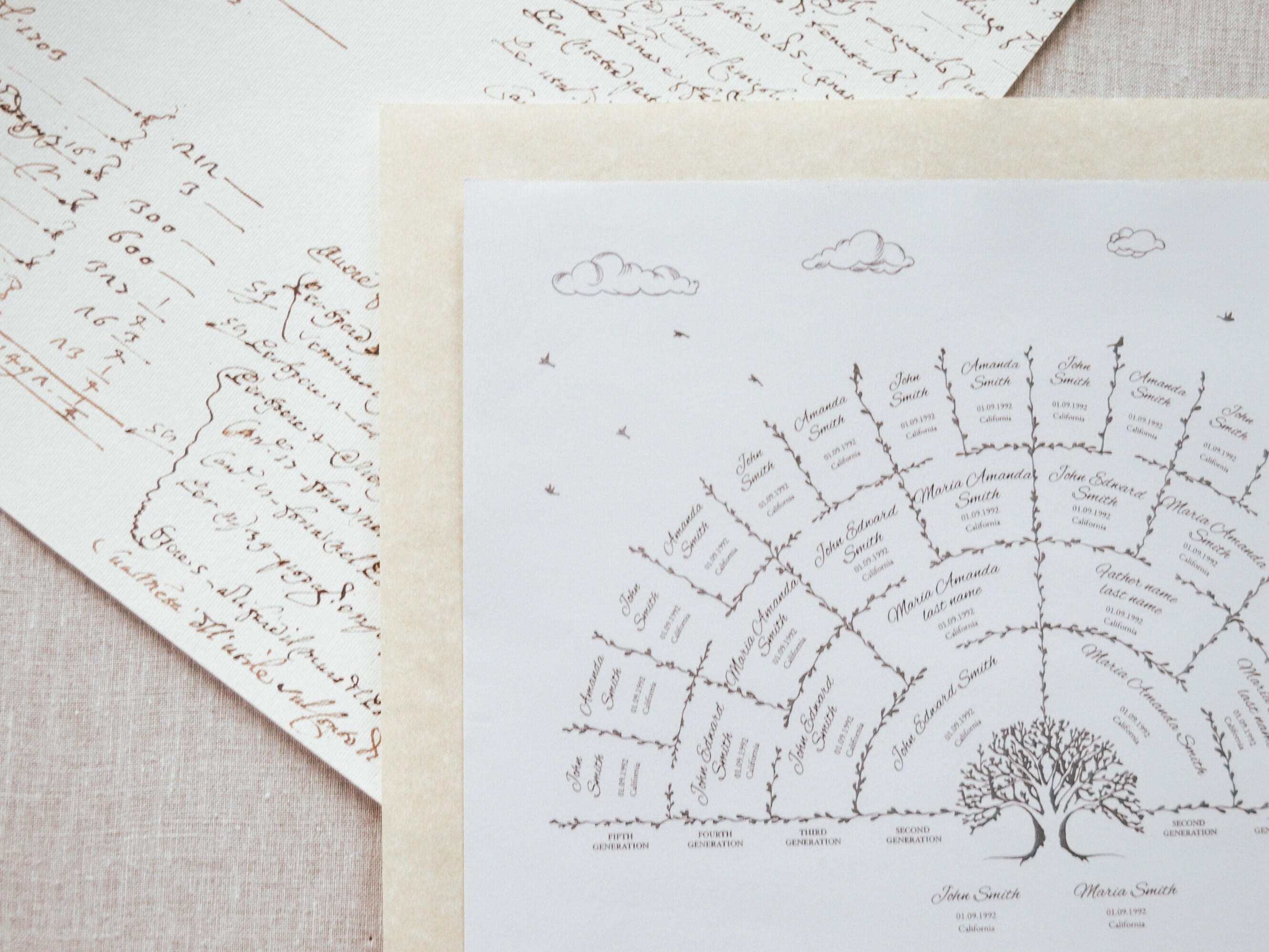 Editable Family Tree Chart Template Ancestry Fan Chart Genealogy ...