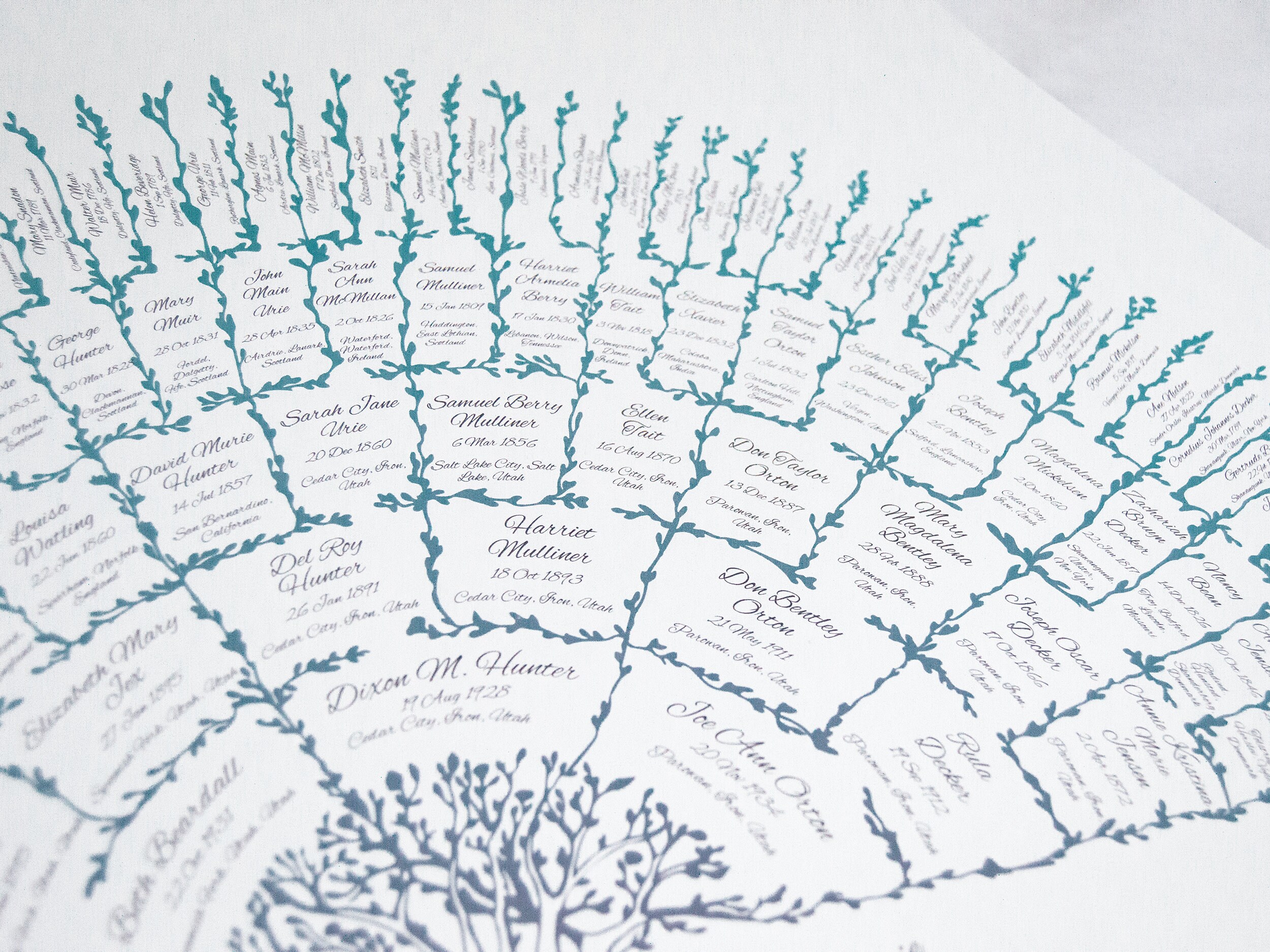 Custom Family Tree Template 7 Generation Fan Chart Ancestry Map ...