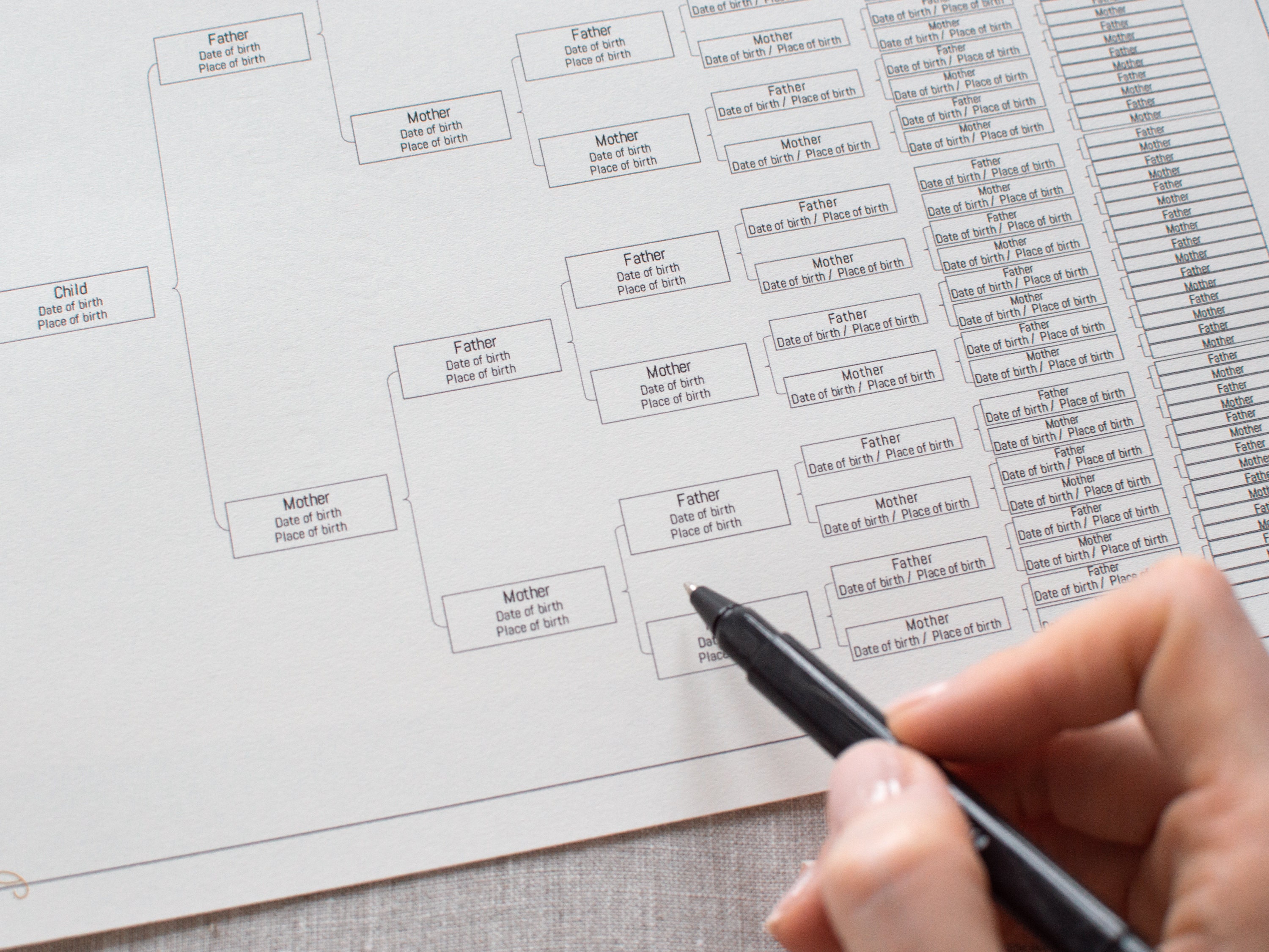Family Tree Template Genealogy Worksheet Printable Pedigree - Etsy UK