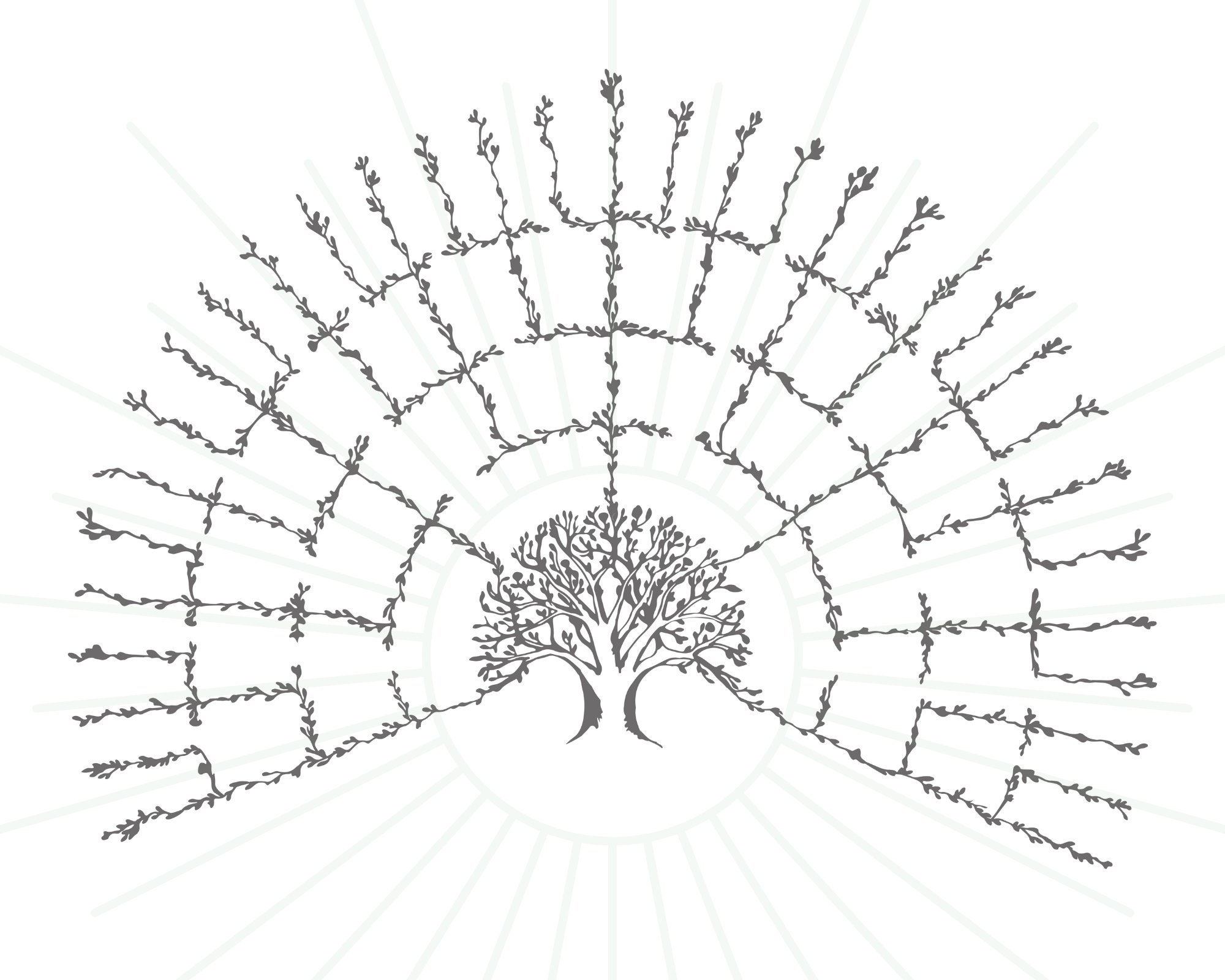 Stamboom sjabloon stamboom voorouders grafiek cirkel SVG lege sjabloon ...