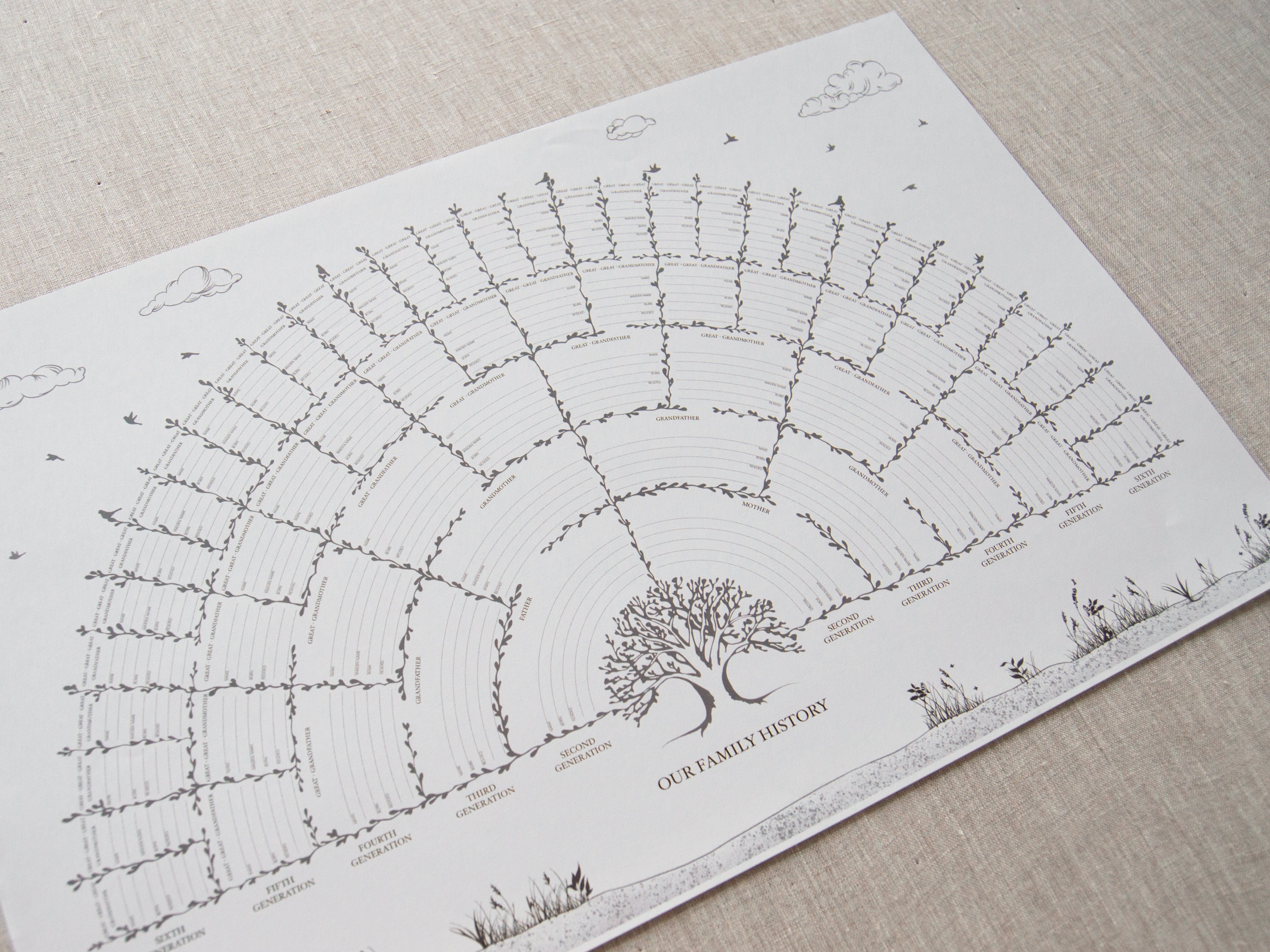 2 for 1 Ancestry Fan Chart 6 Generation Family Tree Blank Paper Chart ...