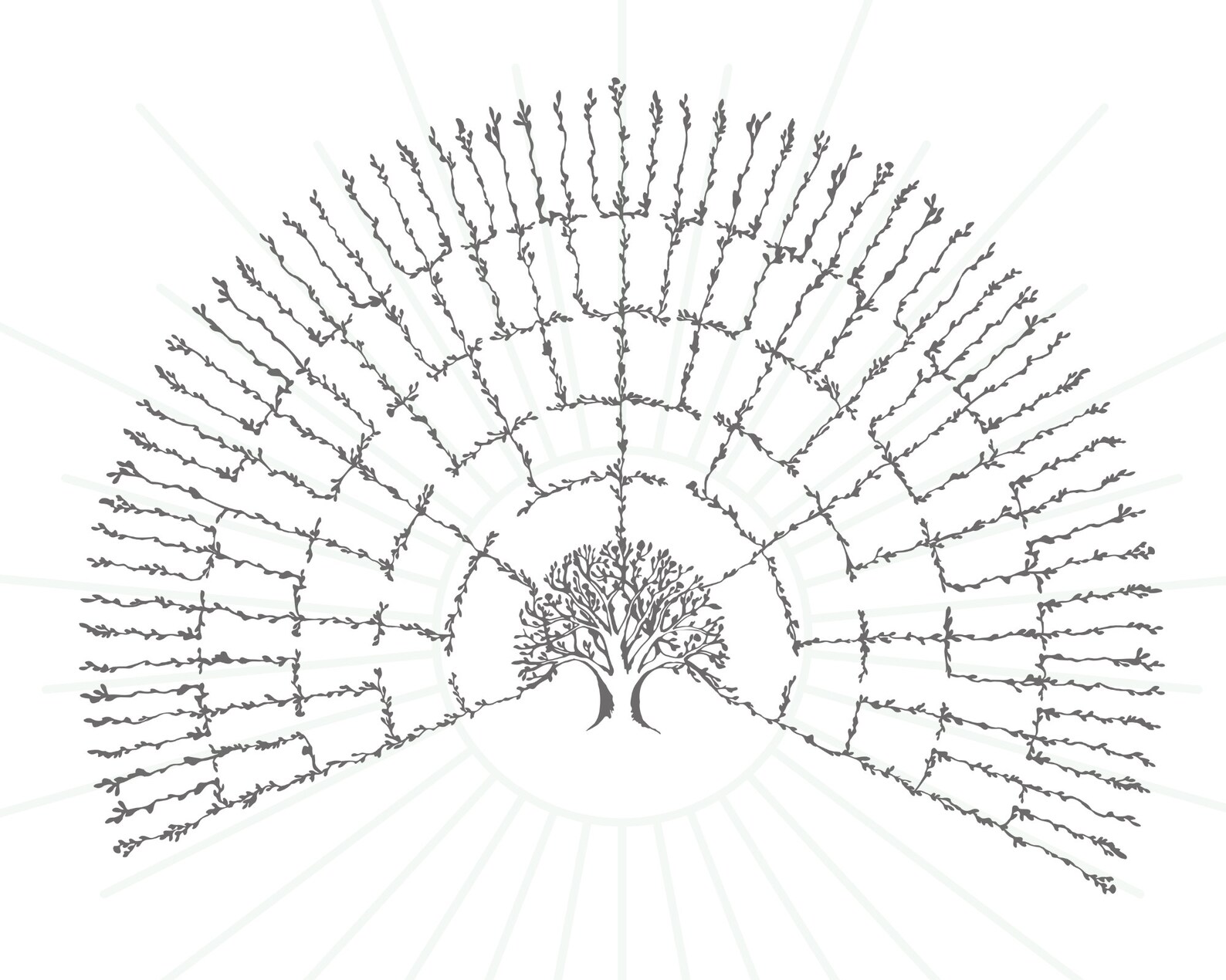 Stamboom grafiek blanco sjabloon PNG, SVG, voorouder grafiek, DIY ...