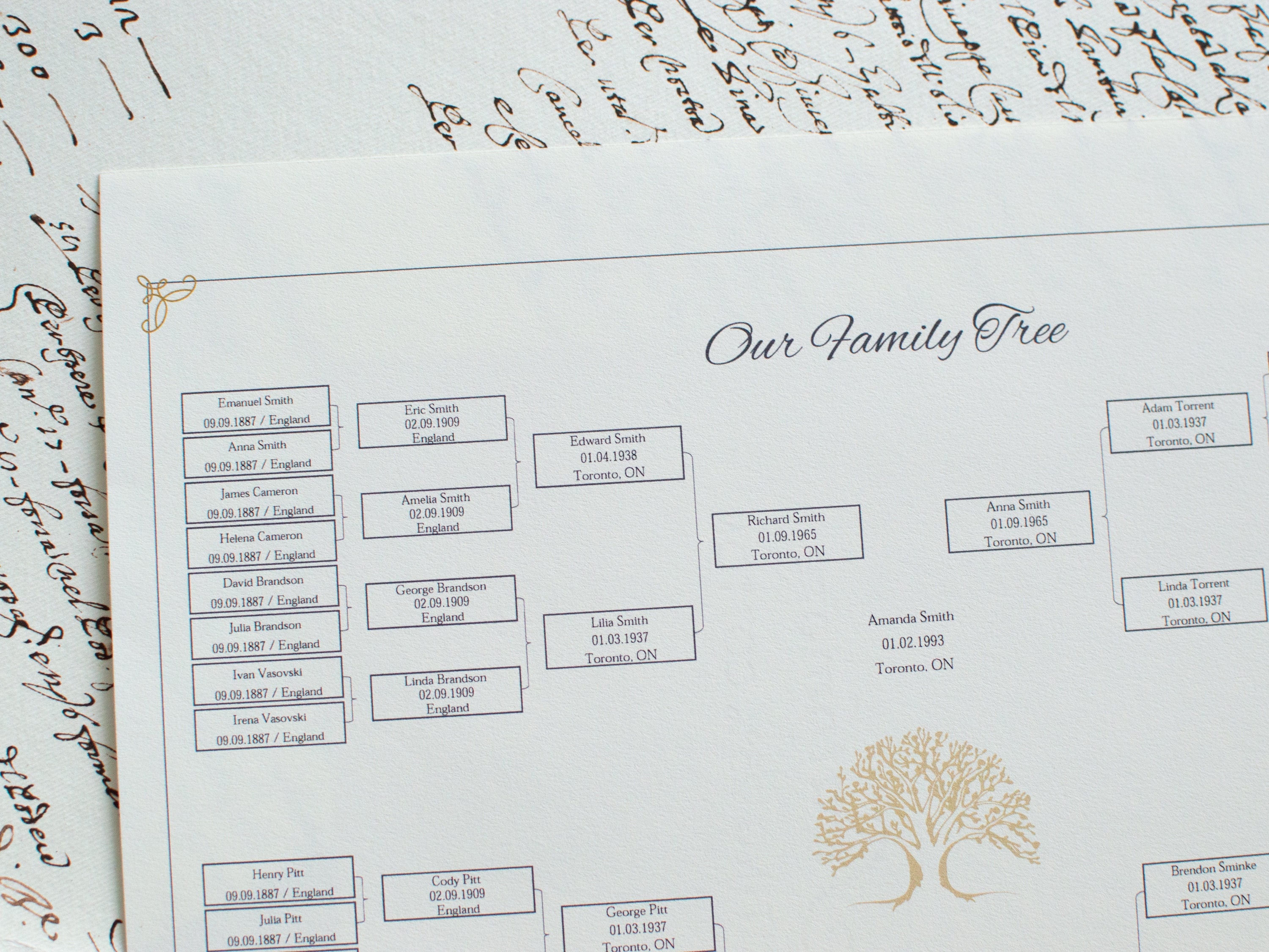 Editable Family Tree Chart Genealogy Chart Sheet Form Ancestor - Etsy ...