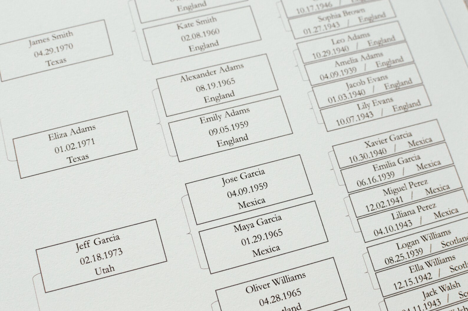 Fillable Family Tree Template Editable Genealogy Chart Family Tree ...