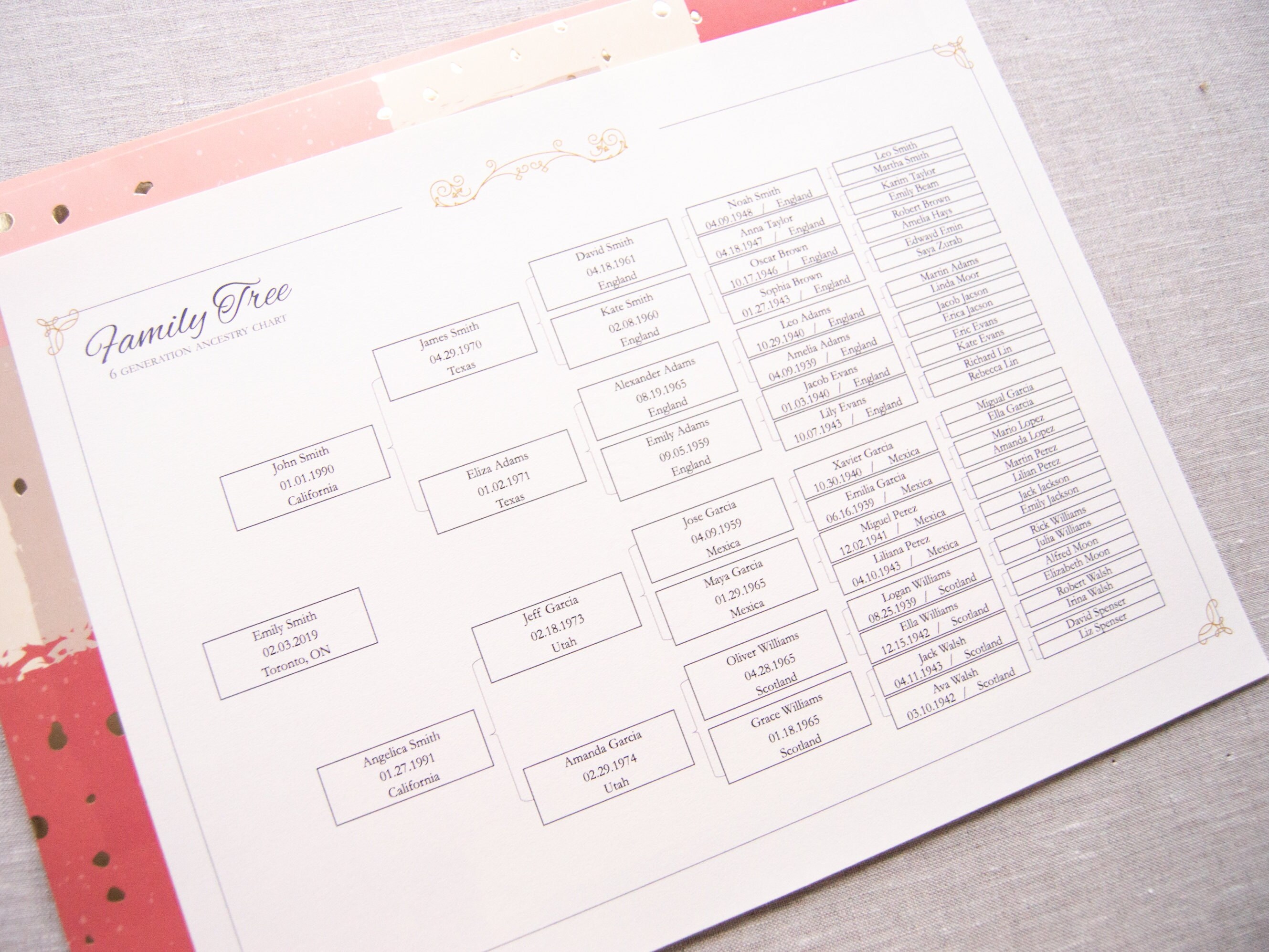 Family Tree Chart Digital Family Tree Template Print at Home - Etsy Canada