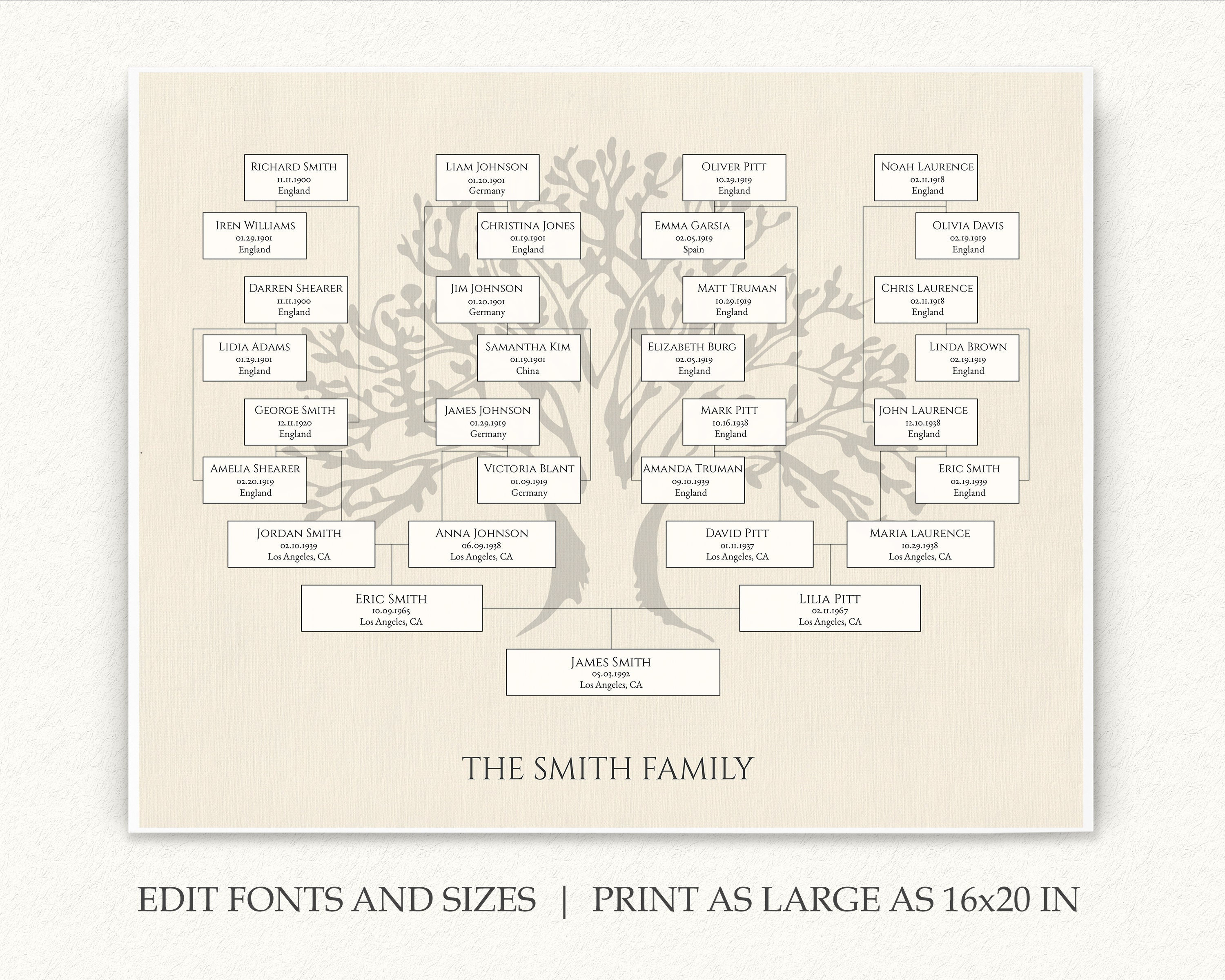 Editable Genealogy Chart 5 Generations Family Tree Chart Family Tree ...