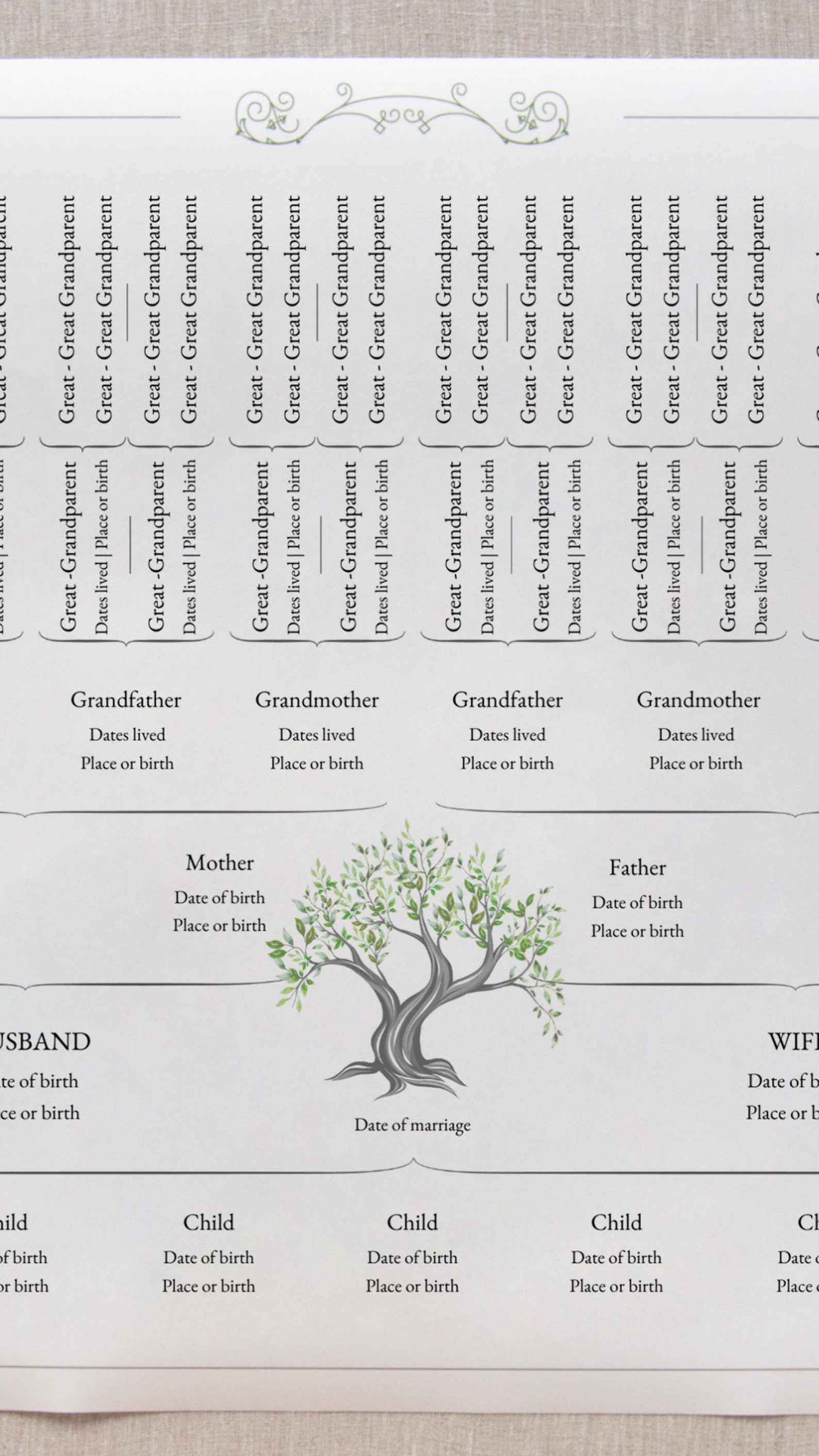 6 Generation Family Tree Chart Lineage Family Tree Ancestral Fan Chart ...
