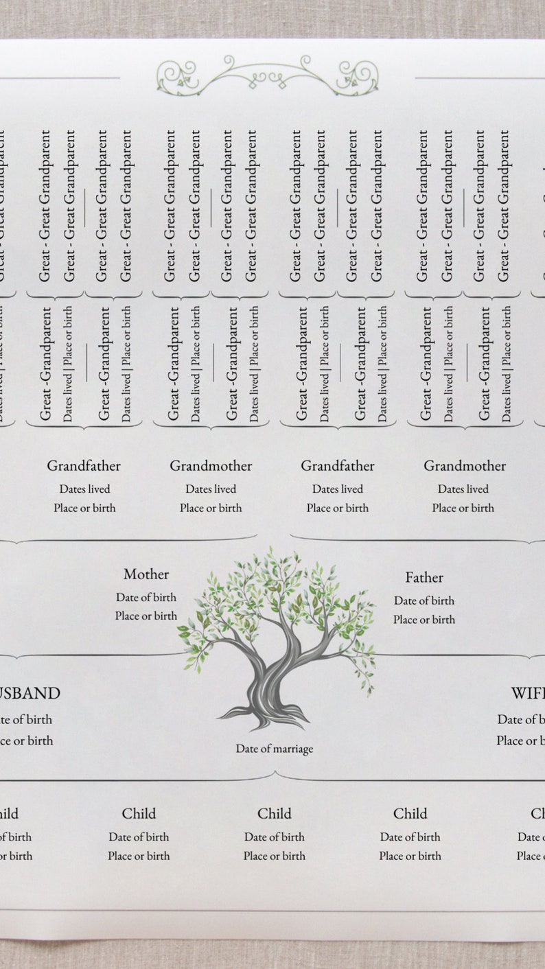 6 Generation Family Tree Chart Lineage Family Tree Ancestral Fan Chart ...