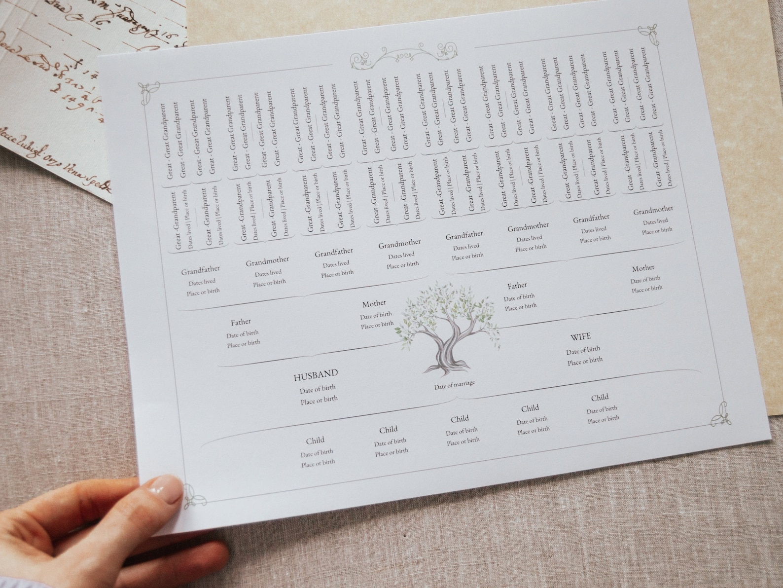 6 Generation Family Tree Chart Lineage Family Tree Ancestral Fan Chart ...