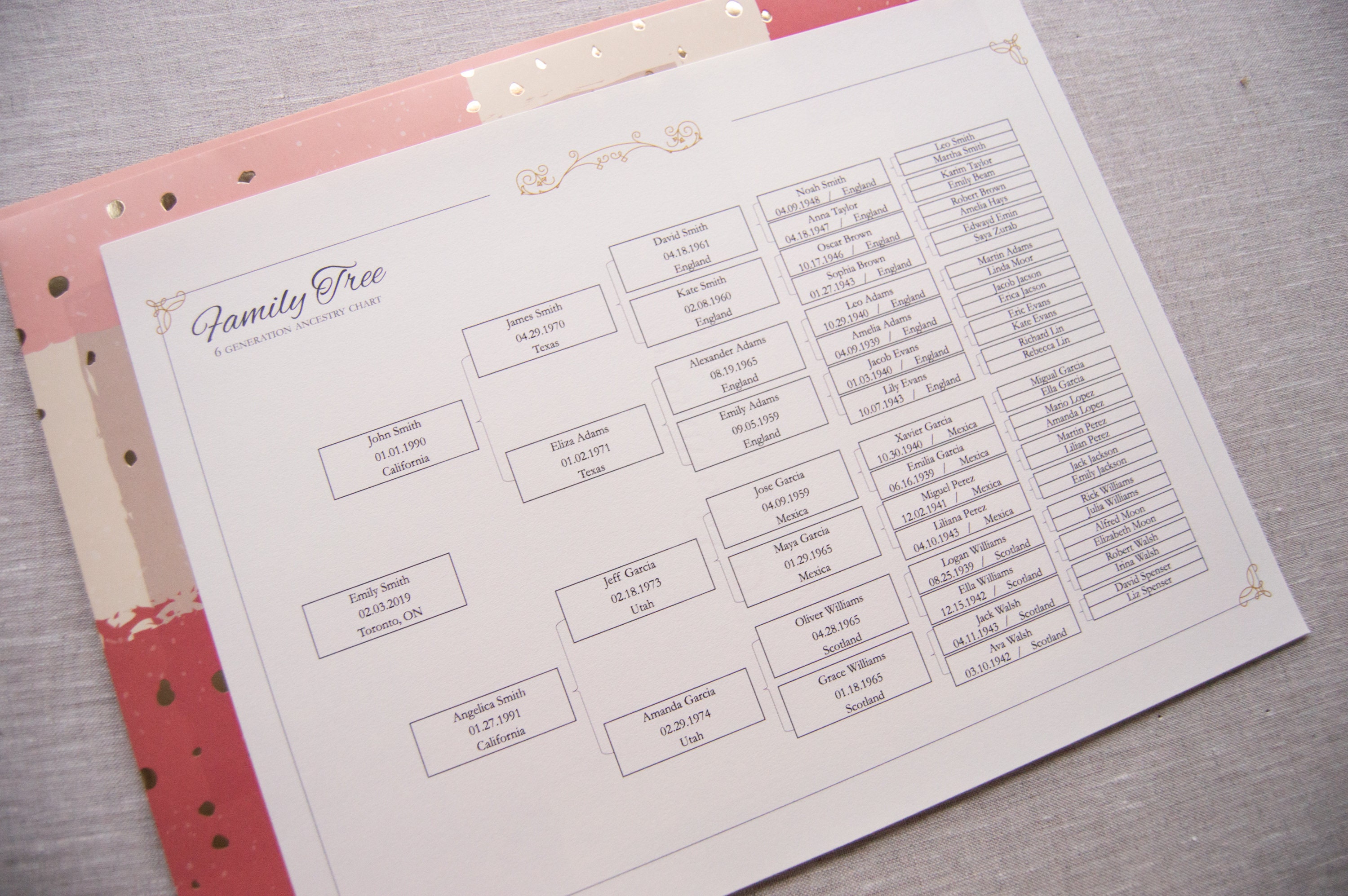 Editable Ancestry Chart Family History Template Fillable Genealogy ...