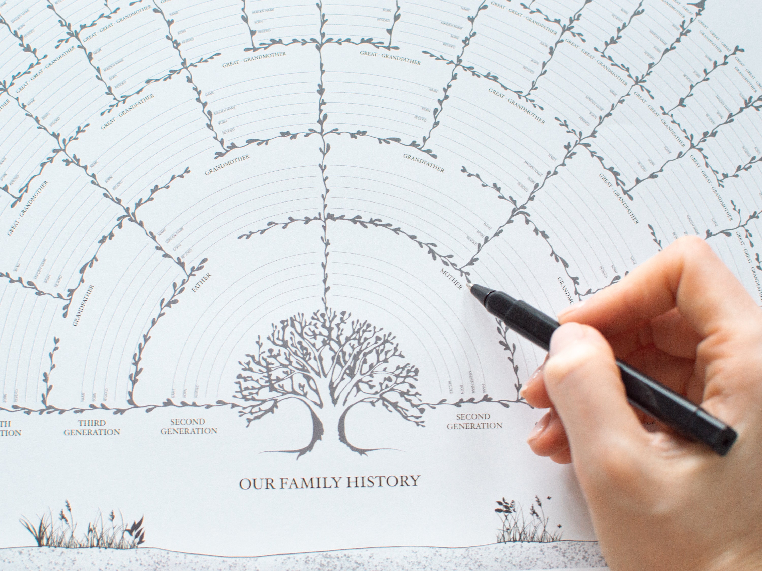 2 for 1 Ancestry Fan Chart 6 Generation Family Tree Blank Paper Chart ...