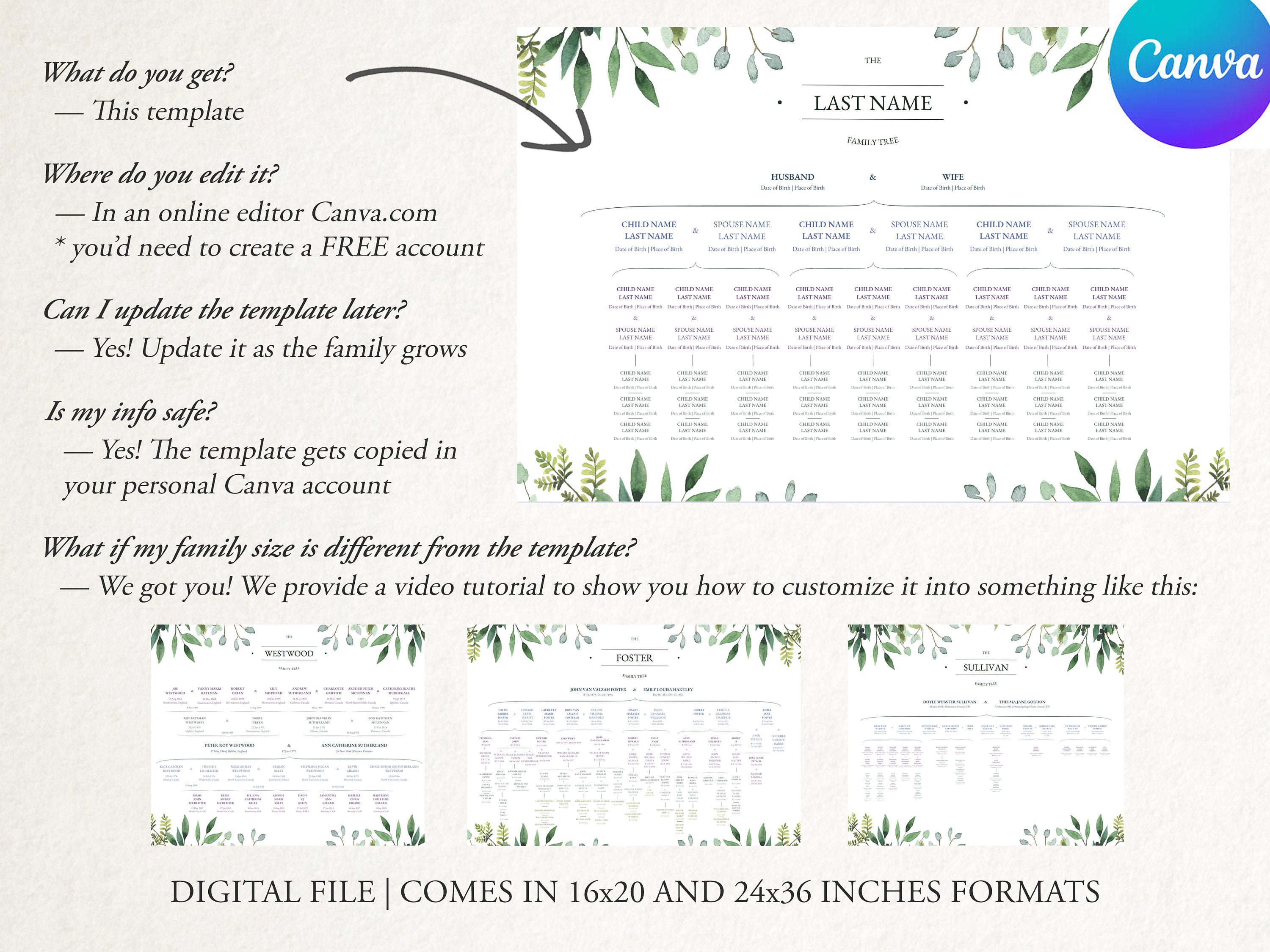 Editable Genealogy Tree Descendant Family Tree Template Genealogy Chart ...