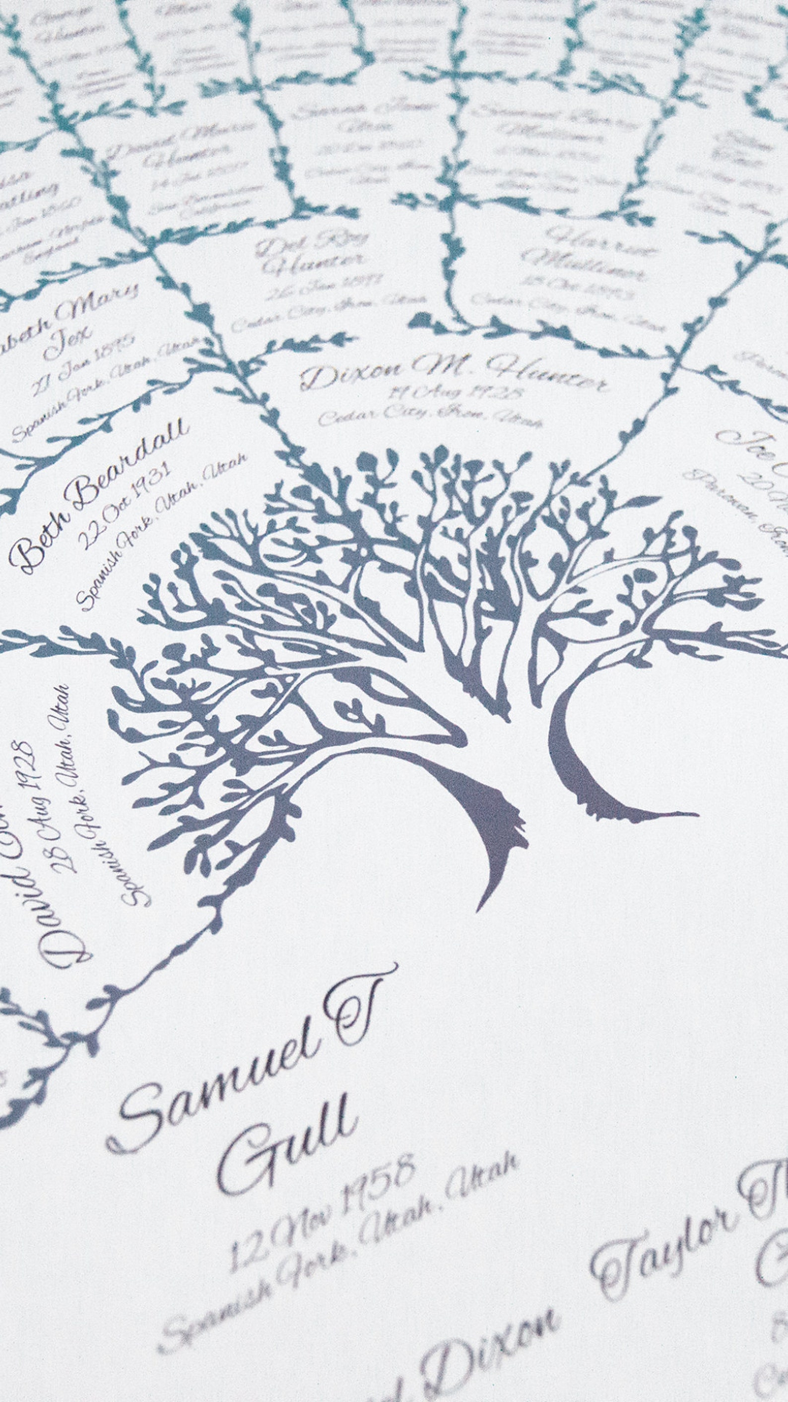 Custom Family Tree Template 7 Generation Fan Chart Ancestry Map ...