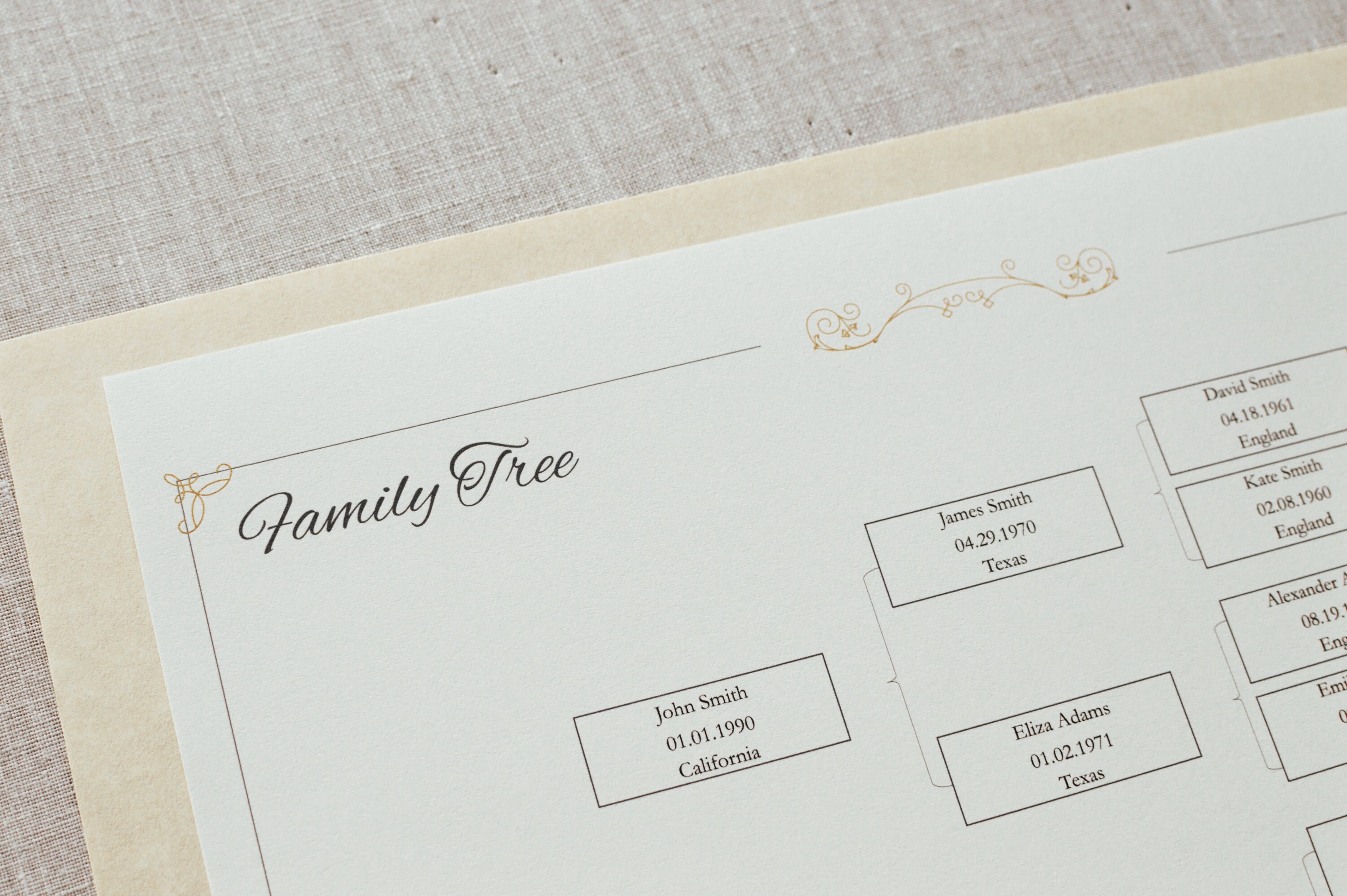Fillable Family Tree Template Editable Genealogy Chart Family Tree ...