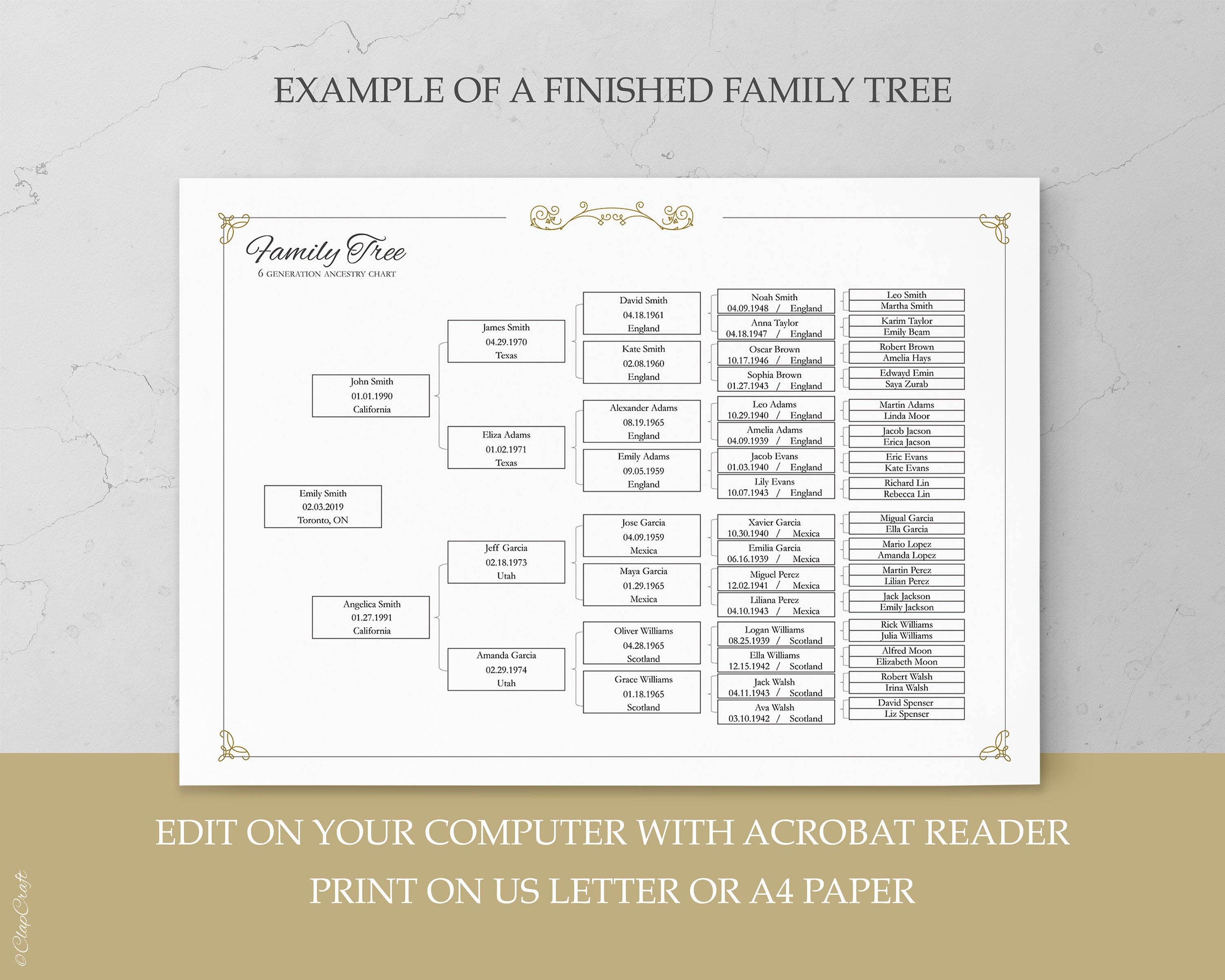 Family Tree Chart Digital Family Tree Template Print at Home - Etsy Canada