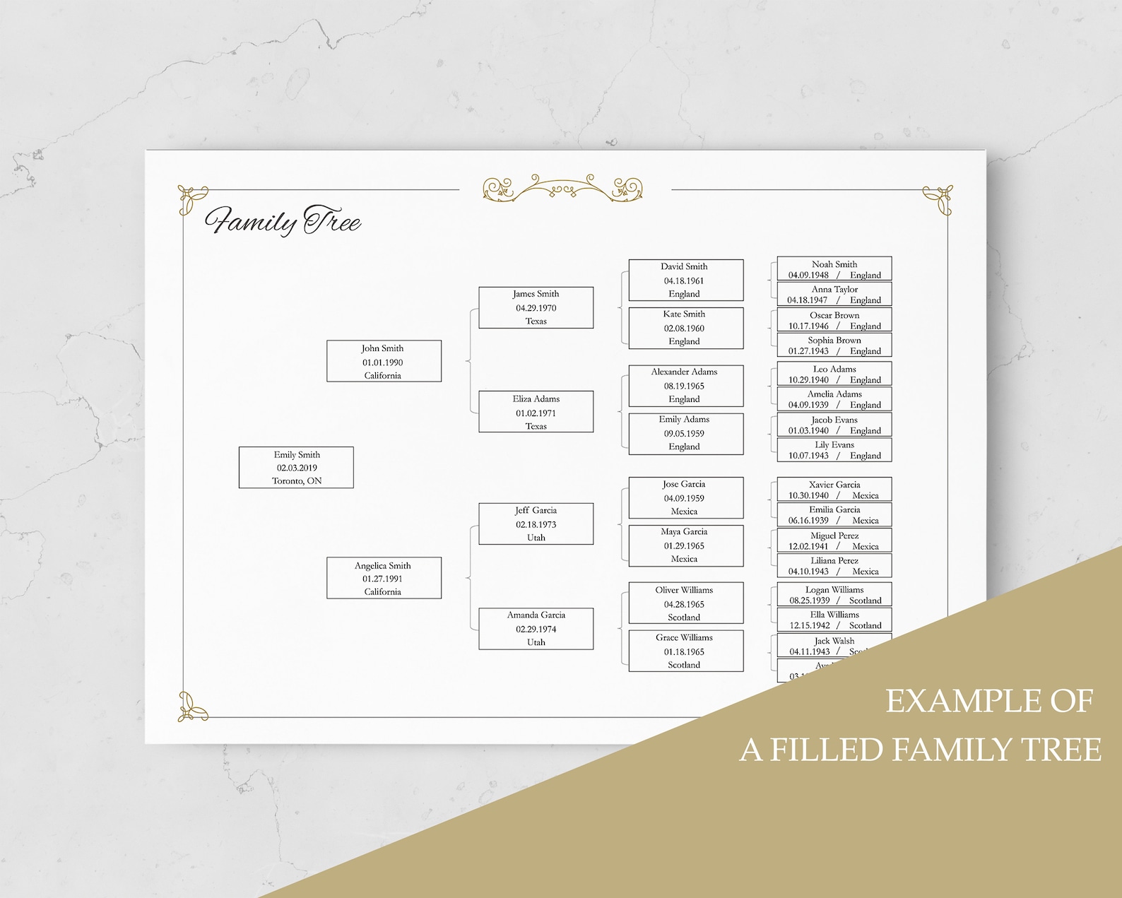 Genealogy Worksheet Fillable Family Tree Template Pedigree - Etsy