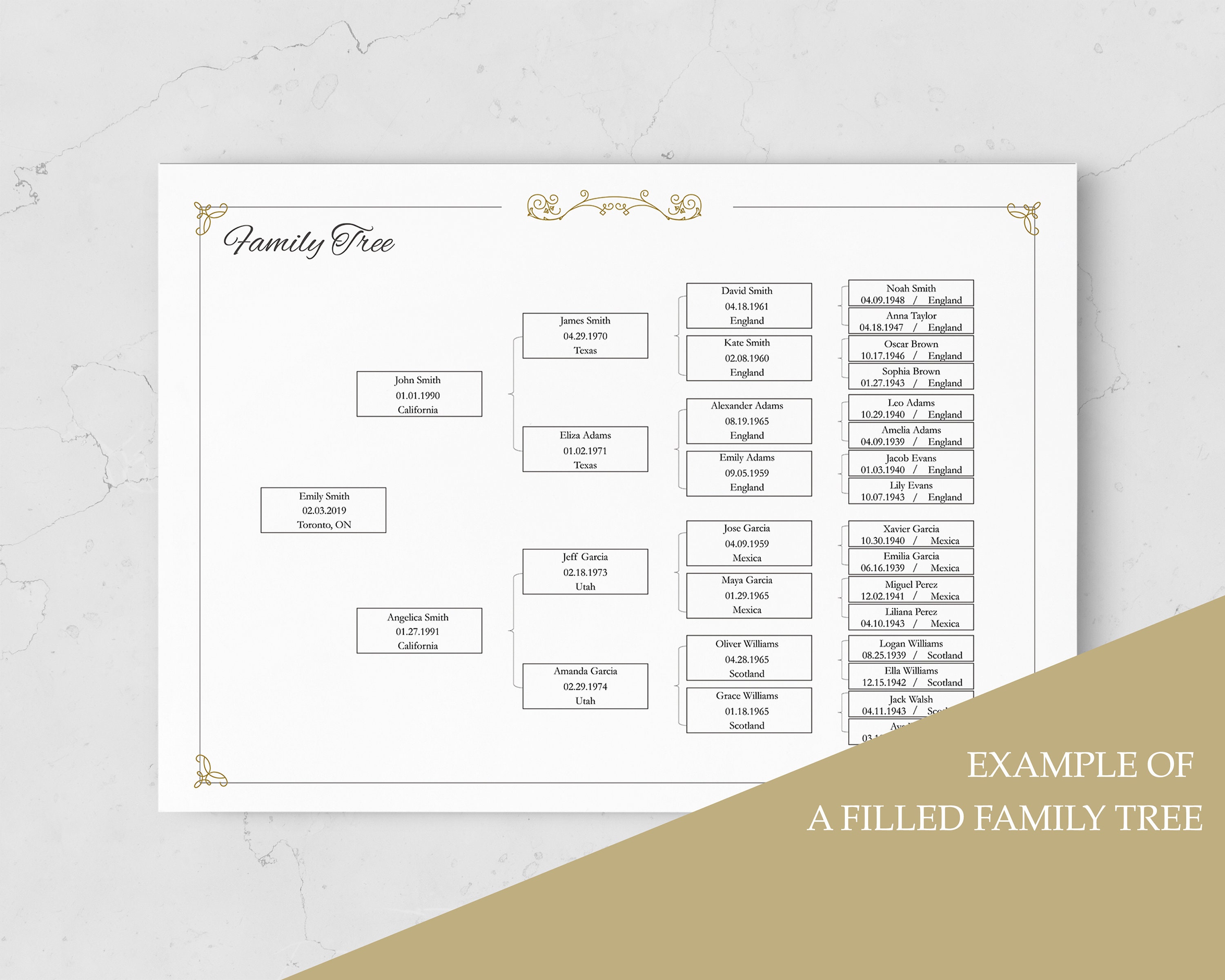 Genealogy Worksheet Fillable Family Tree Template Pedigree - Etsy