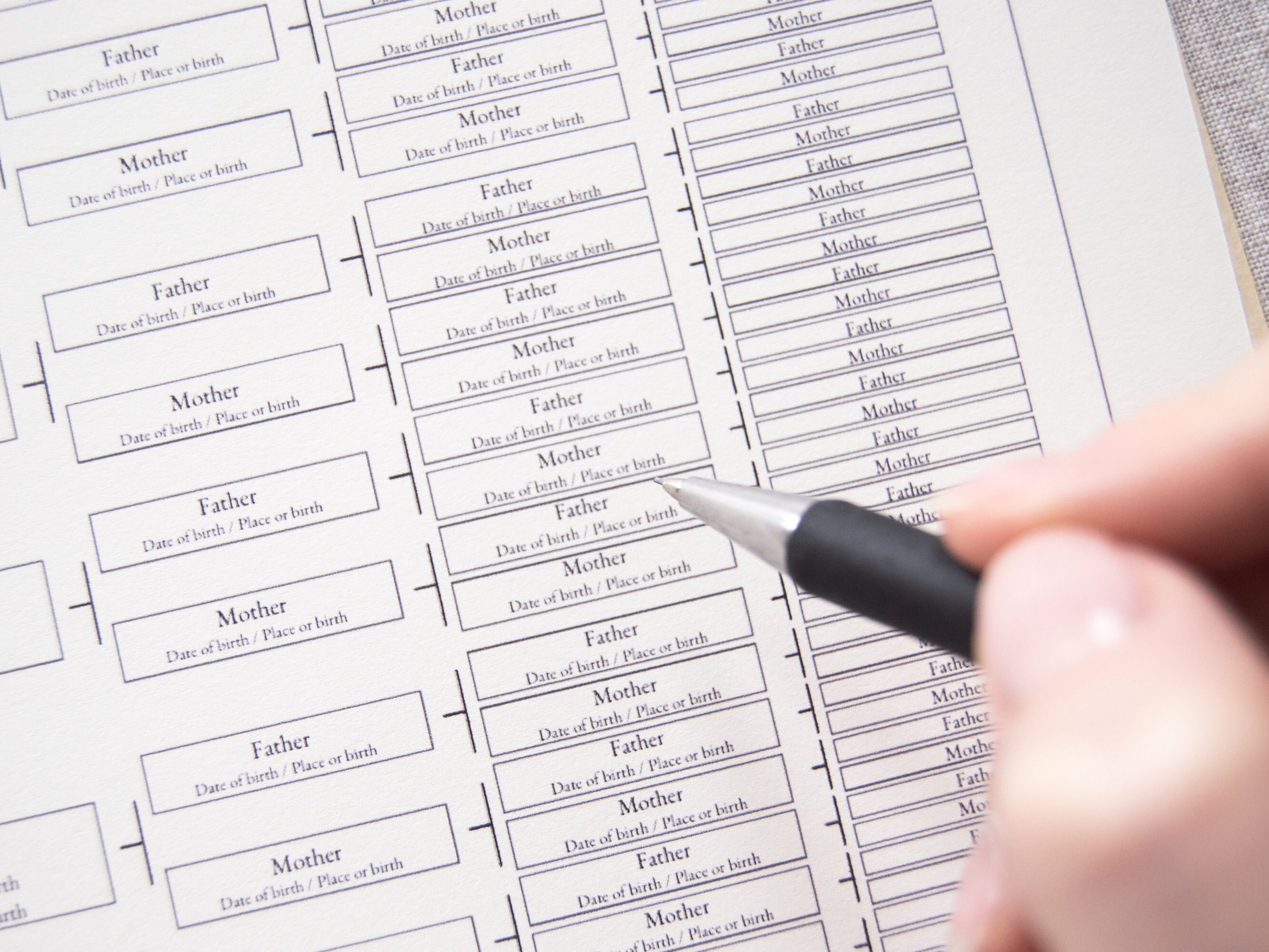 Editable Genealogy Chart Paternal Family Line Printable Family Chart ...