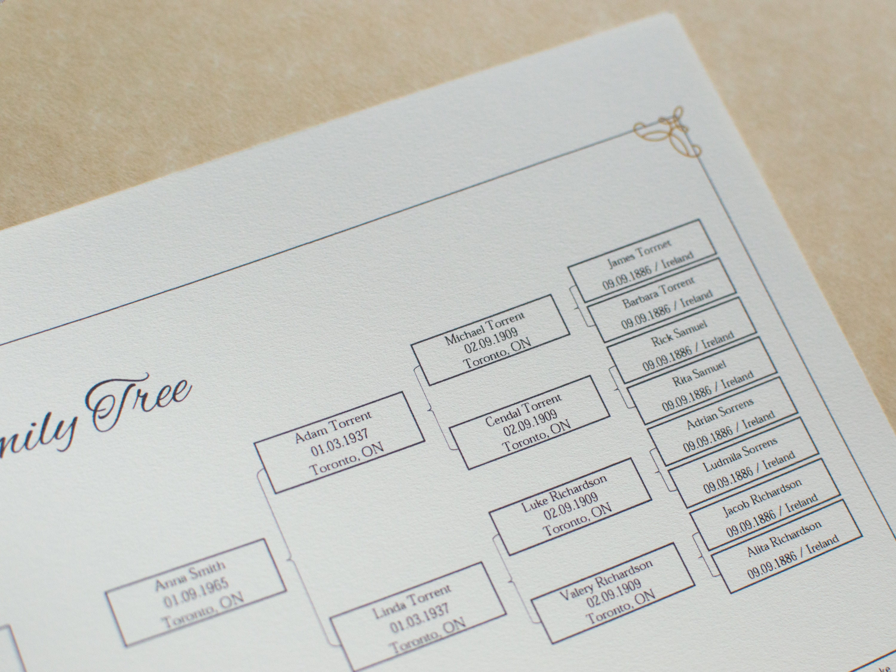 Editable Family Tree Chart Genealogy Chart Sheet Form Ancestor - Etsy ...