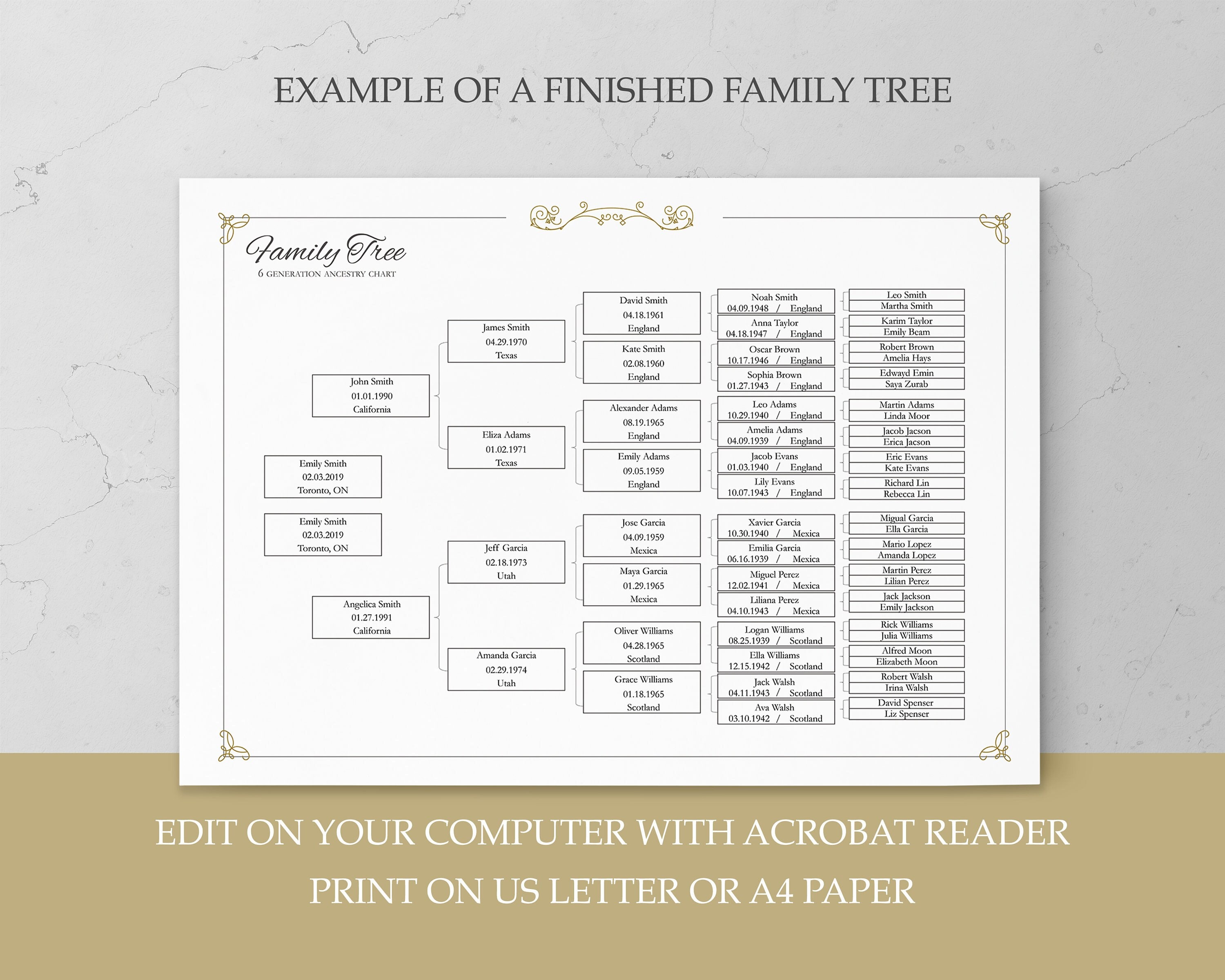 6 Generation Family Tree Editable Genealogy Template Genealogy - Etsy ...