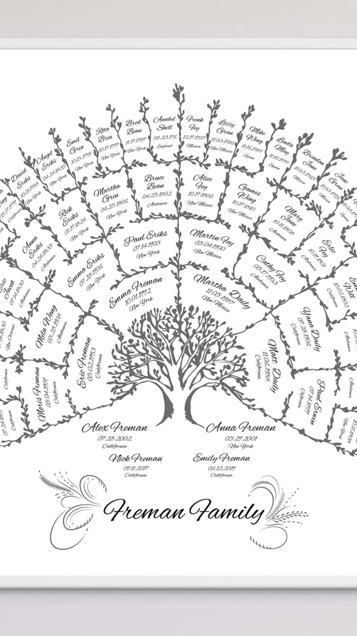 Family Tree Fan Chart Ancestry Map Genealogy Template 6 Generation ...