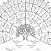 Family Tree Fan Chart Ancestry Map Genealogy Template 6 Generation ...