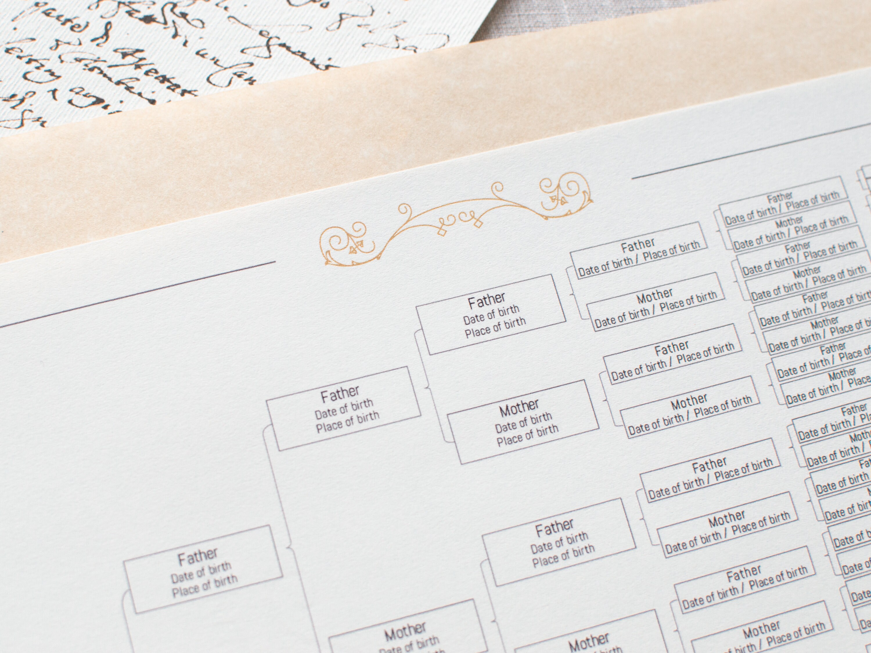 Family Tree Template Genealogy Worksheet Printable Pedigree - Etsy UK