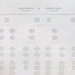 Editable Descendant Family Tree Template Genealogy Tree Multiple ...