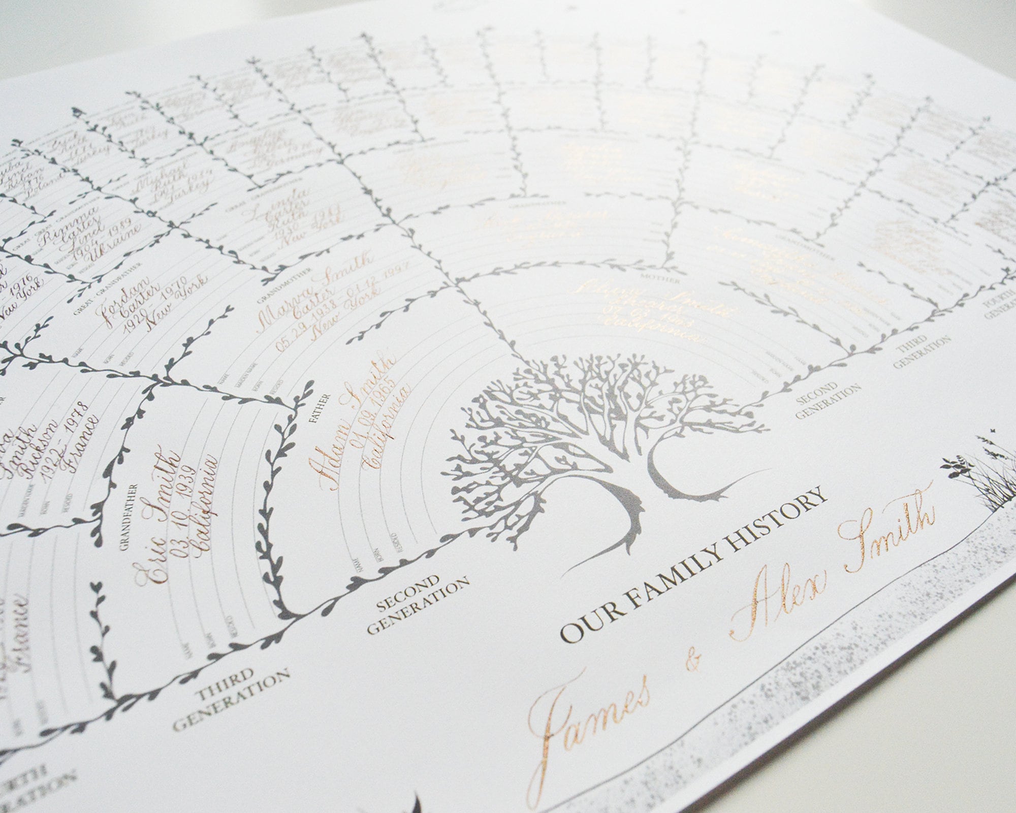 2 for 1 Ancestry Fan Chart 6 Generation Family Tree Blank Paper Chart ...