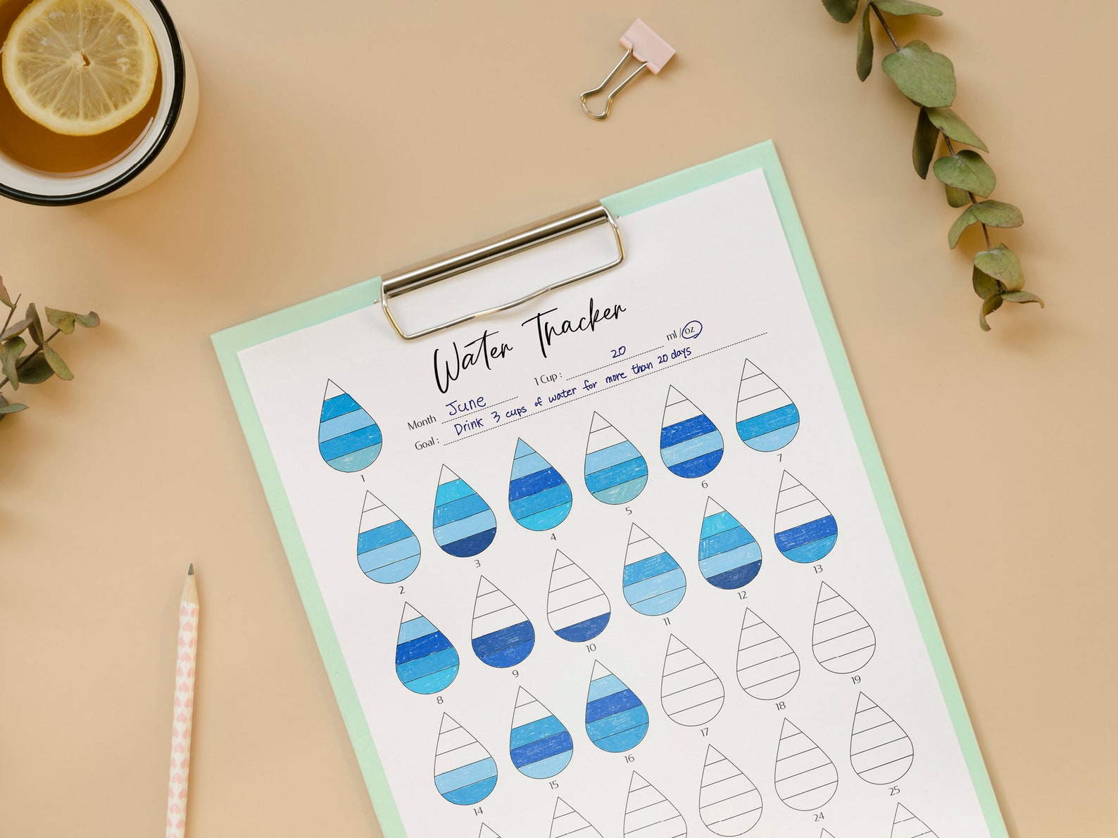 Water Tracker Template PDF, Printable Planner, Water Intake Health ...
