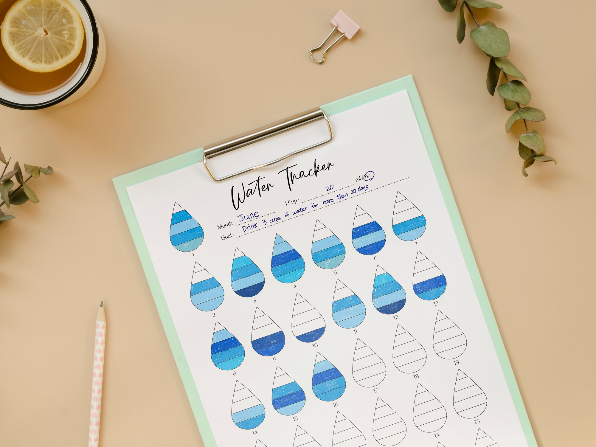 Water Tracker Template PDF, Printable Planner, Water Intake Health ...