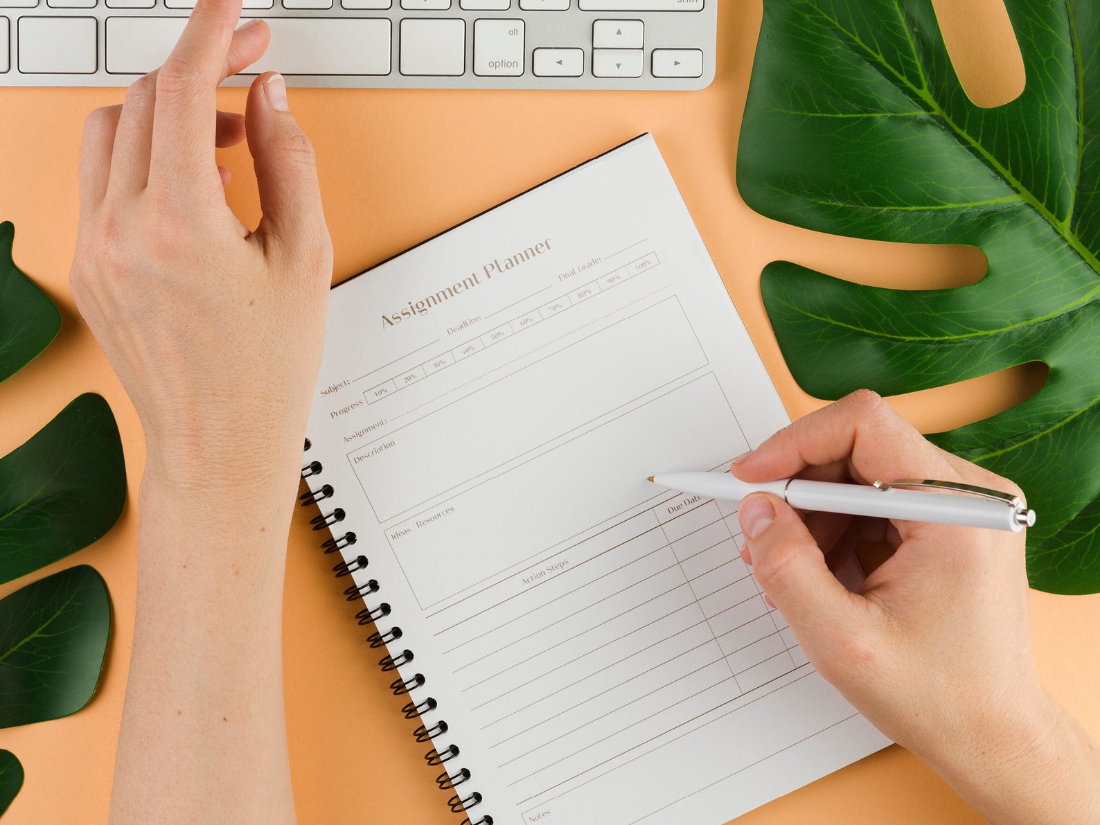 Assignment Tracker Template PDF, Aesthetic Assignment Planner Printable ...