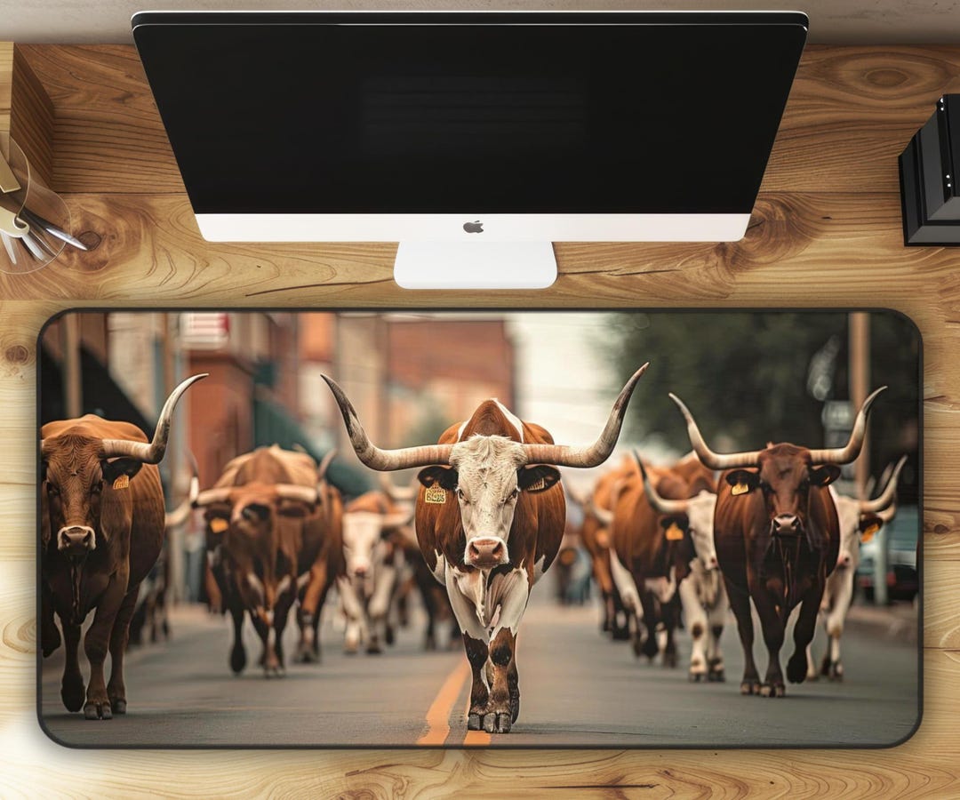 Texas Longhorn Walking Through the Stockyards Lone Star Strid Large ...