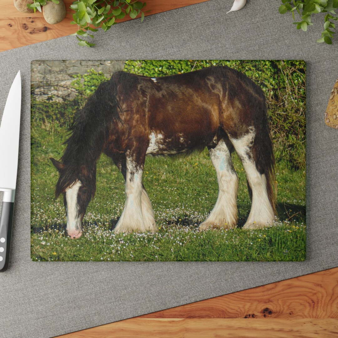 Shire / Clydesdale Horse on Aran Island, Inis Mor in Ireland Glass ...