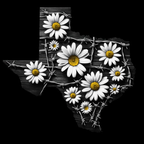 TheTexasDaisyStore - Etsy