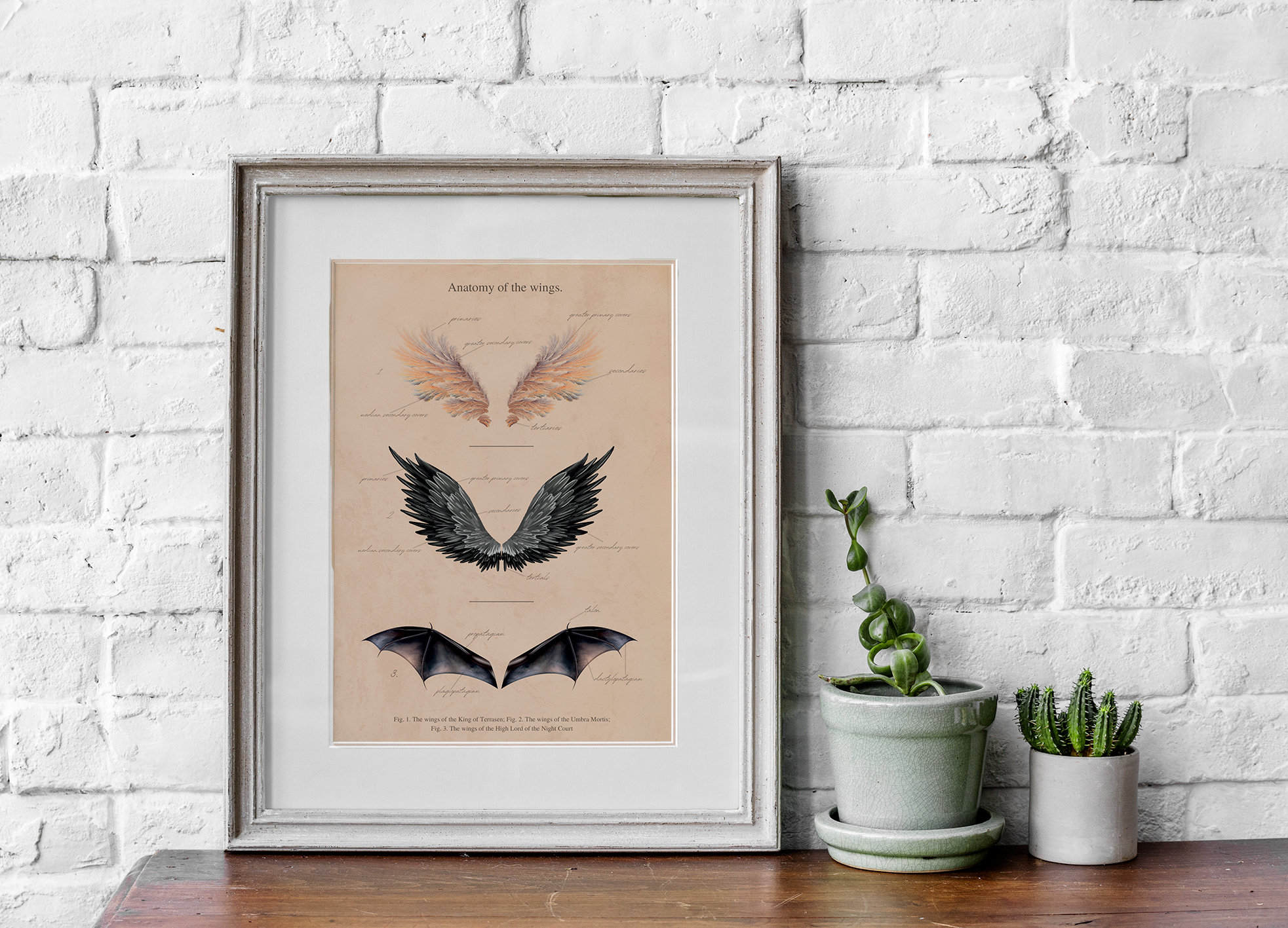 The Wings Acotar Throne of Glass Crescent City Sarah J - Etsy Australia